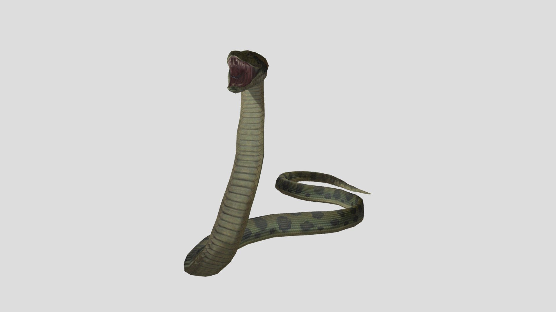 Anaconda attack jungle - Download Free 3D model by ayoubbenz [efec825] - Sketchfab