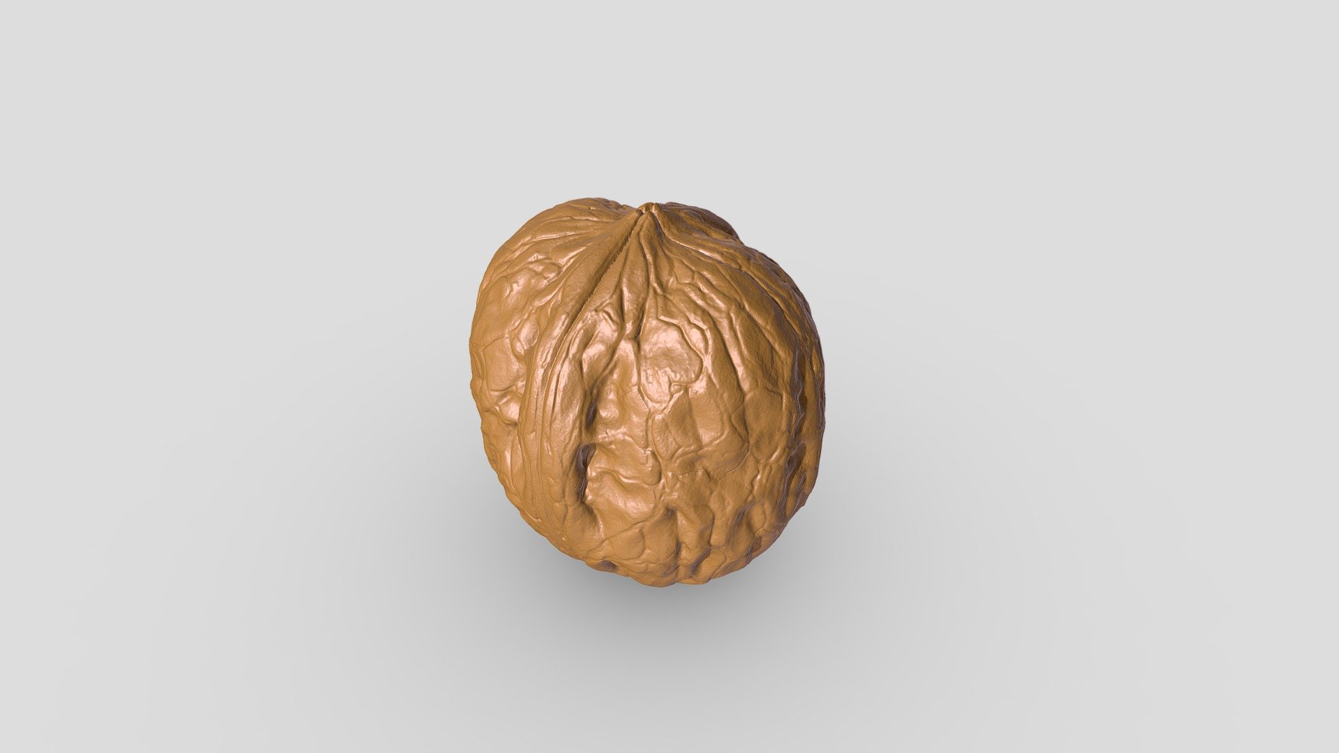 Nut - Download Free 3D model by Diana Liu (@Diana123456) [eff0d65 ...