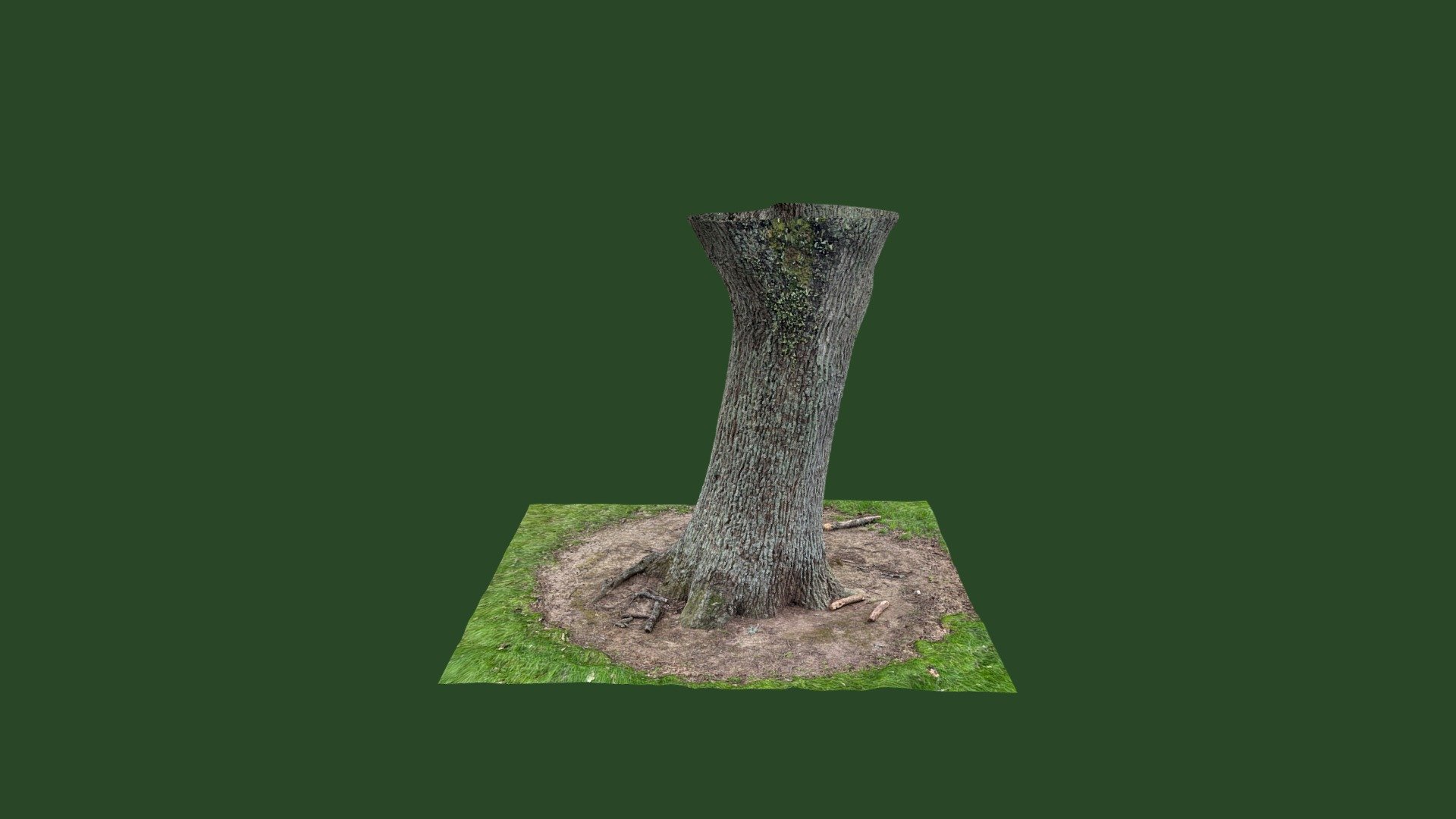 Tree Trunk (Hamilton NZ) - Download Free 3D model by Andrei ...