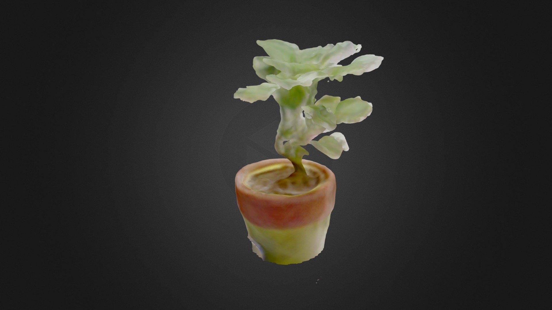 Pepper - 3D model by lynxlabs [eos2DPk] - Sketchfab