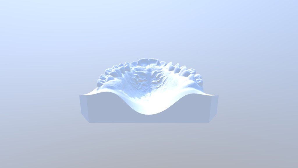 Maxillary - 3D model by blackbar0n [f003b1f] - Sketchfab