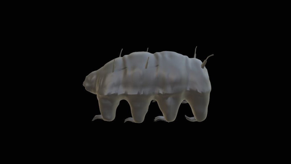 Tardigrade-100x-050mm - Download Free 3D model by paleoteach [f01499d ...