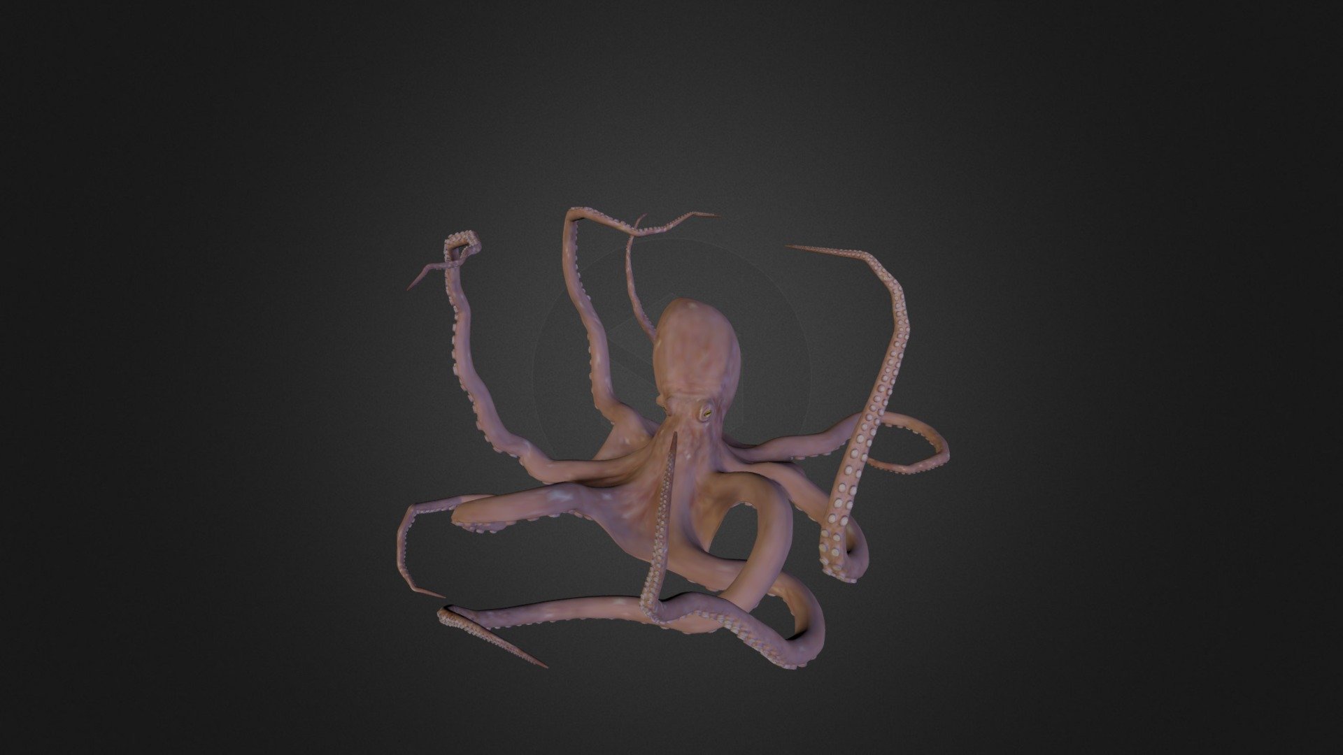 Octopus - 3D model by angusfok [f01ec7f] - Sketchfab