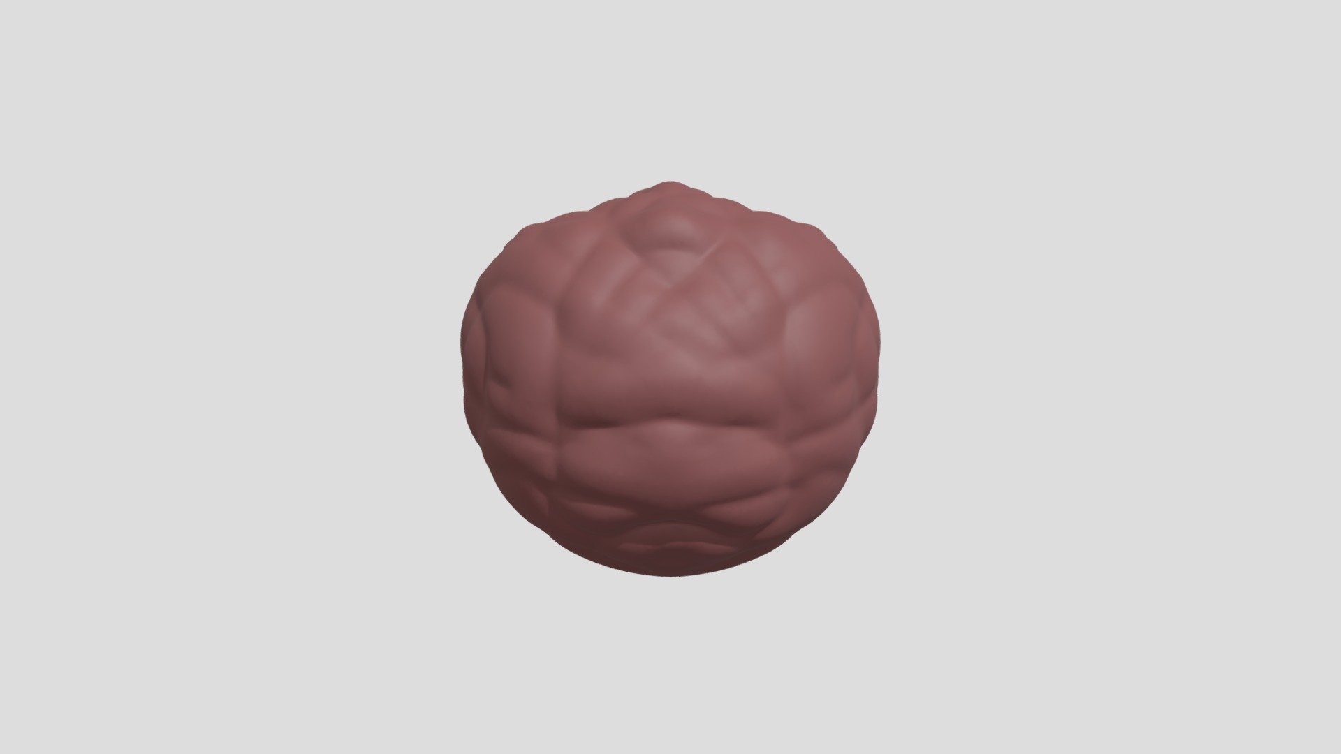 Big Brain - 3D model by BigBrainER123GO (@BigBrainERxJAmes_Bond4ever ...
