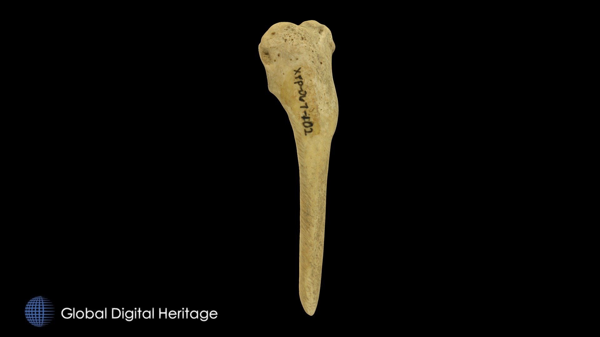 XFP-067 Bone awl, Sanak Island, Alaska. - Download Free 3D model by ...
