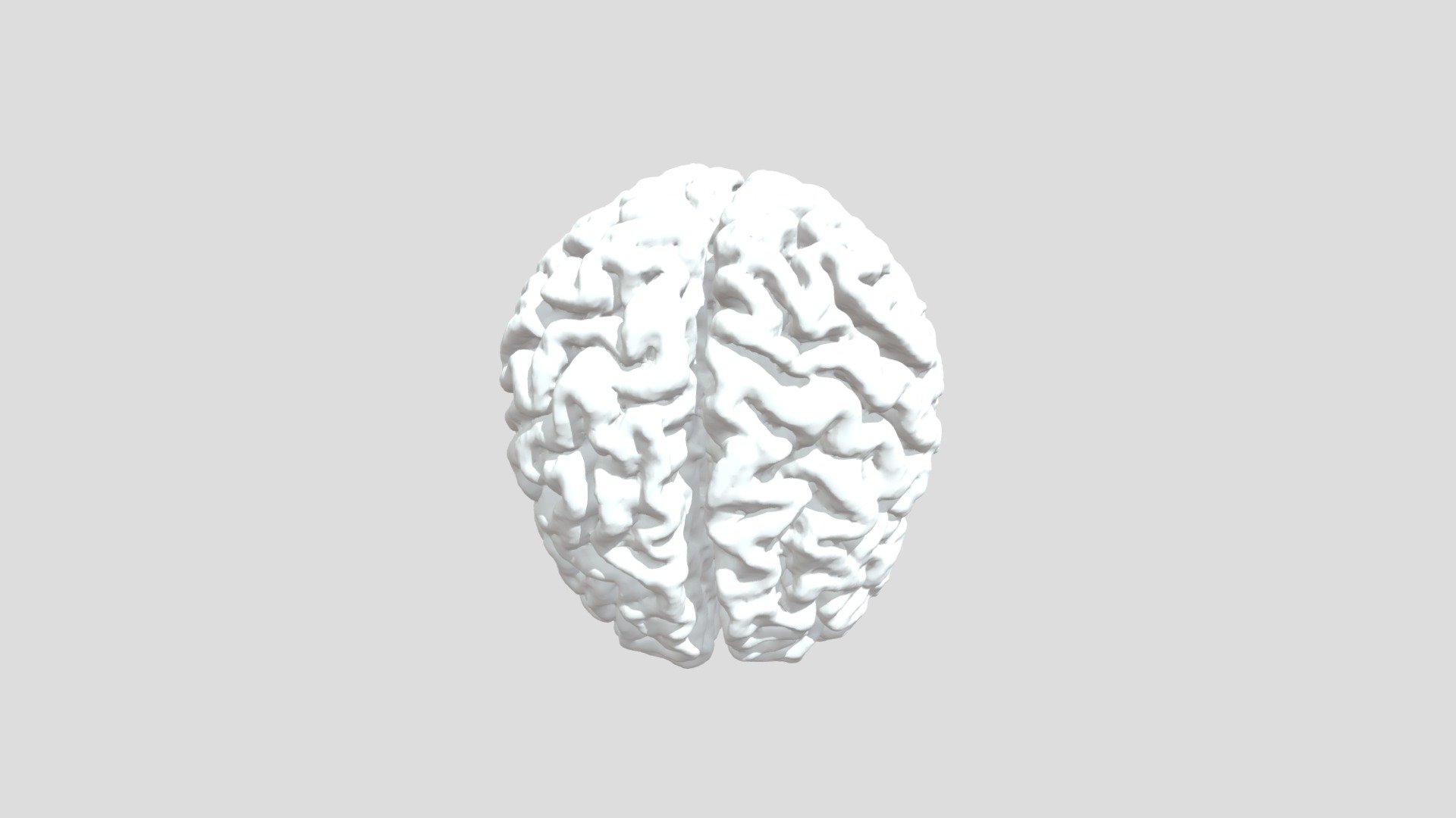 AP psych brain project (cerebrum) - 3D model by scottr2 [f036adc ...