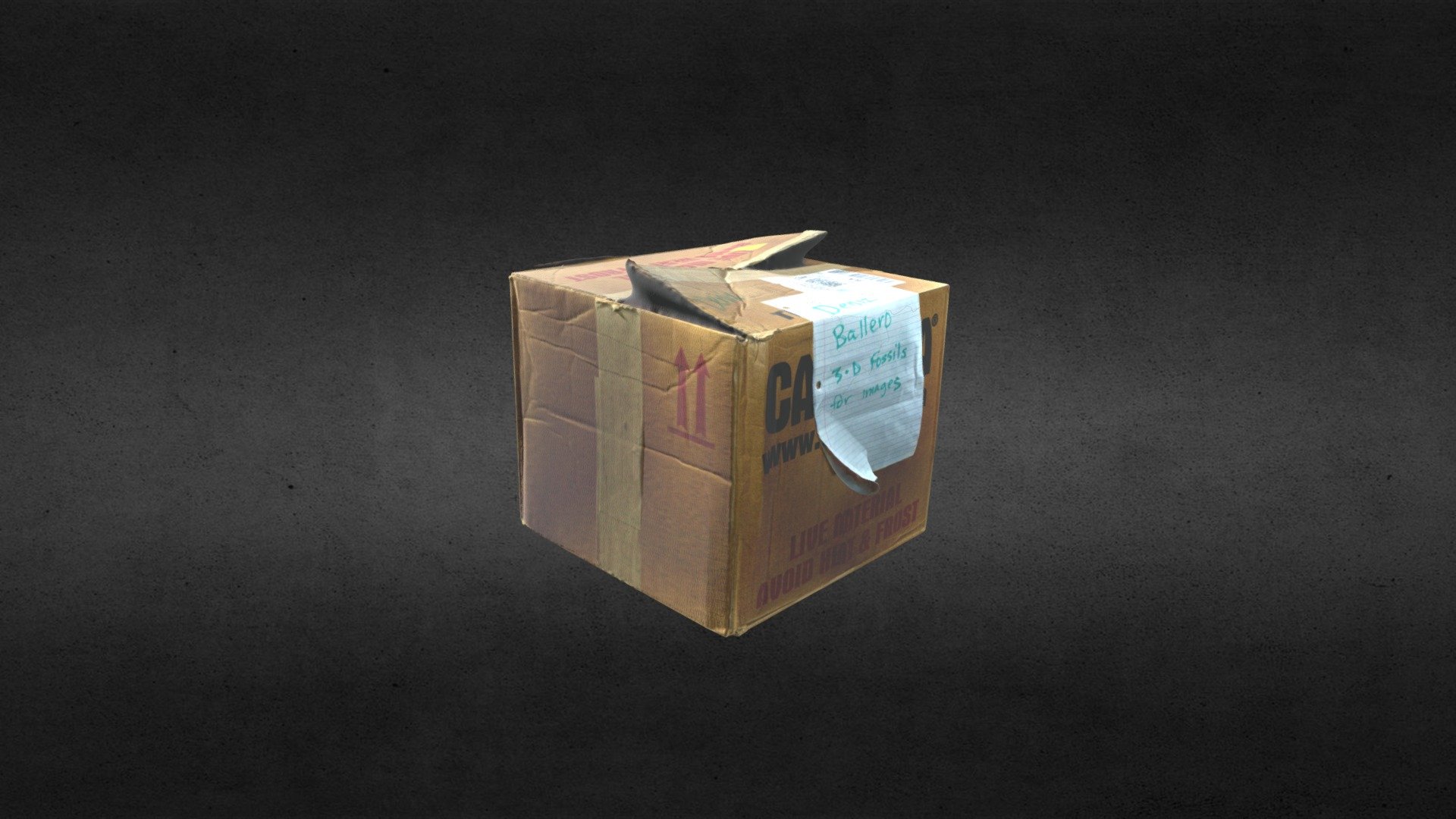 Box_scan - 3D model by bertobillions [f037e37] - Sketchfab