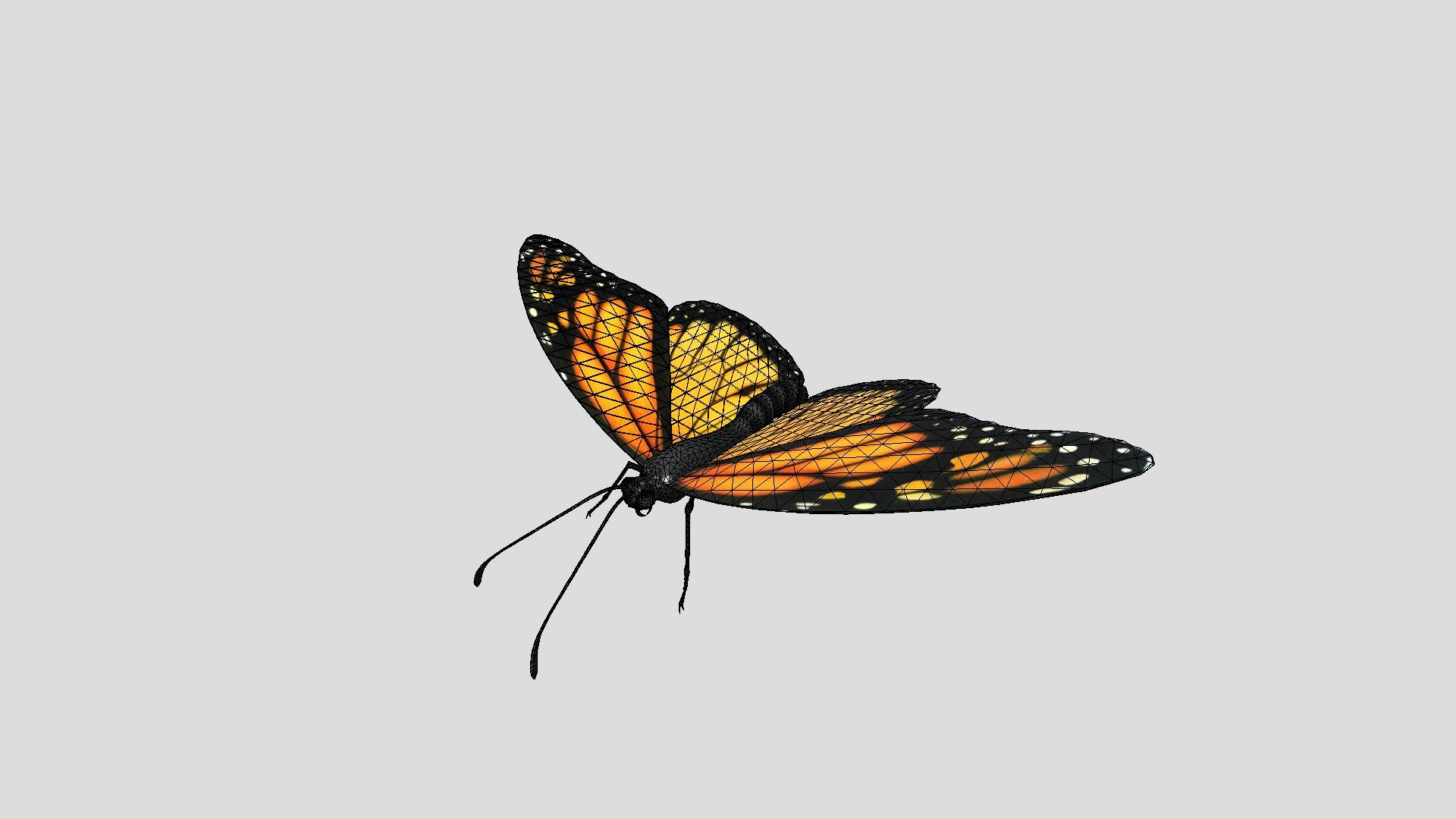 animated_flying_fluttering_butterfly_loop - 3D model by liqing1997 ...