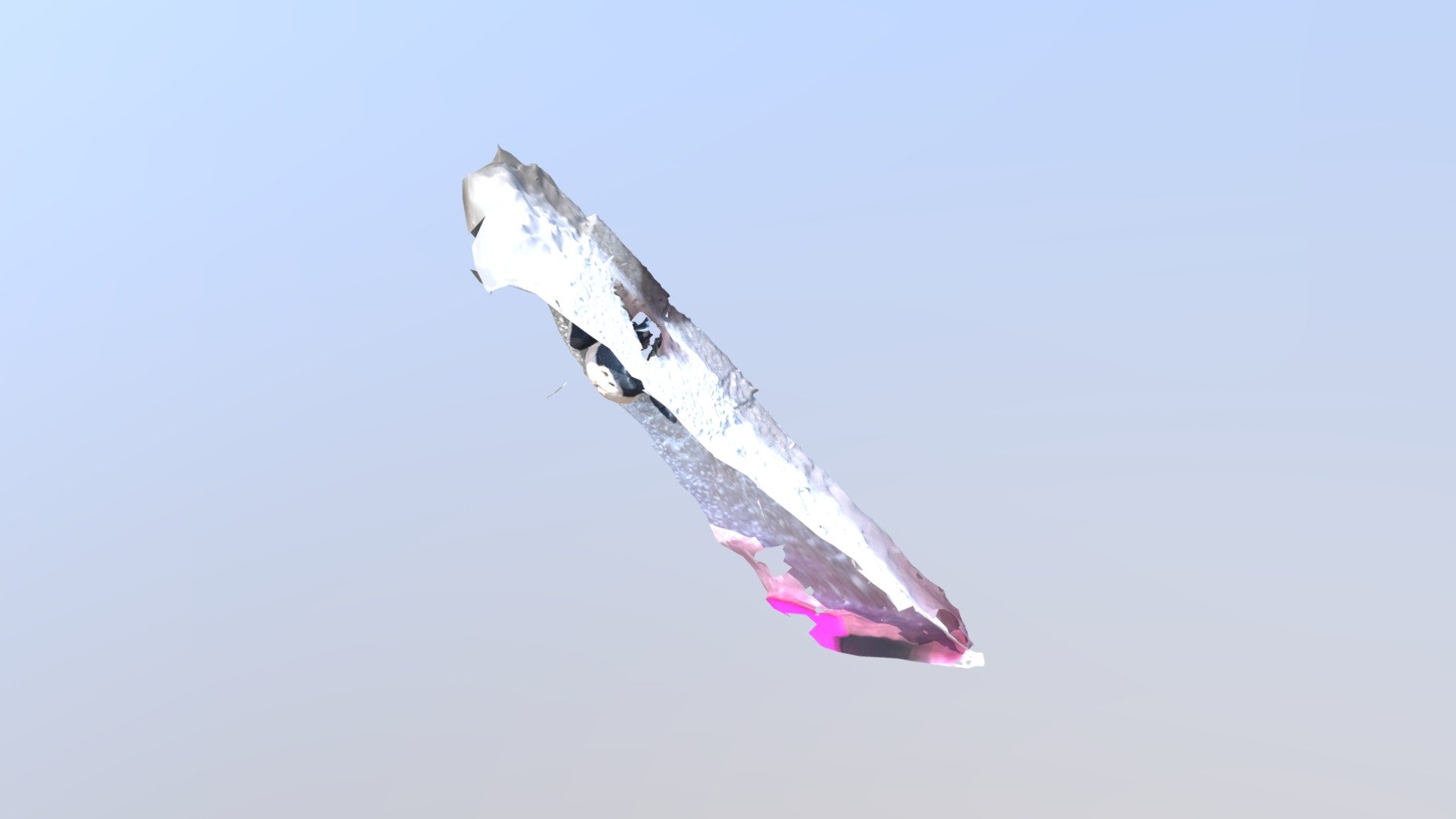 3df zephyr oita - 3D model by alexandragav [f049806] - Sketchfab