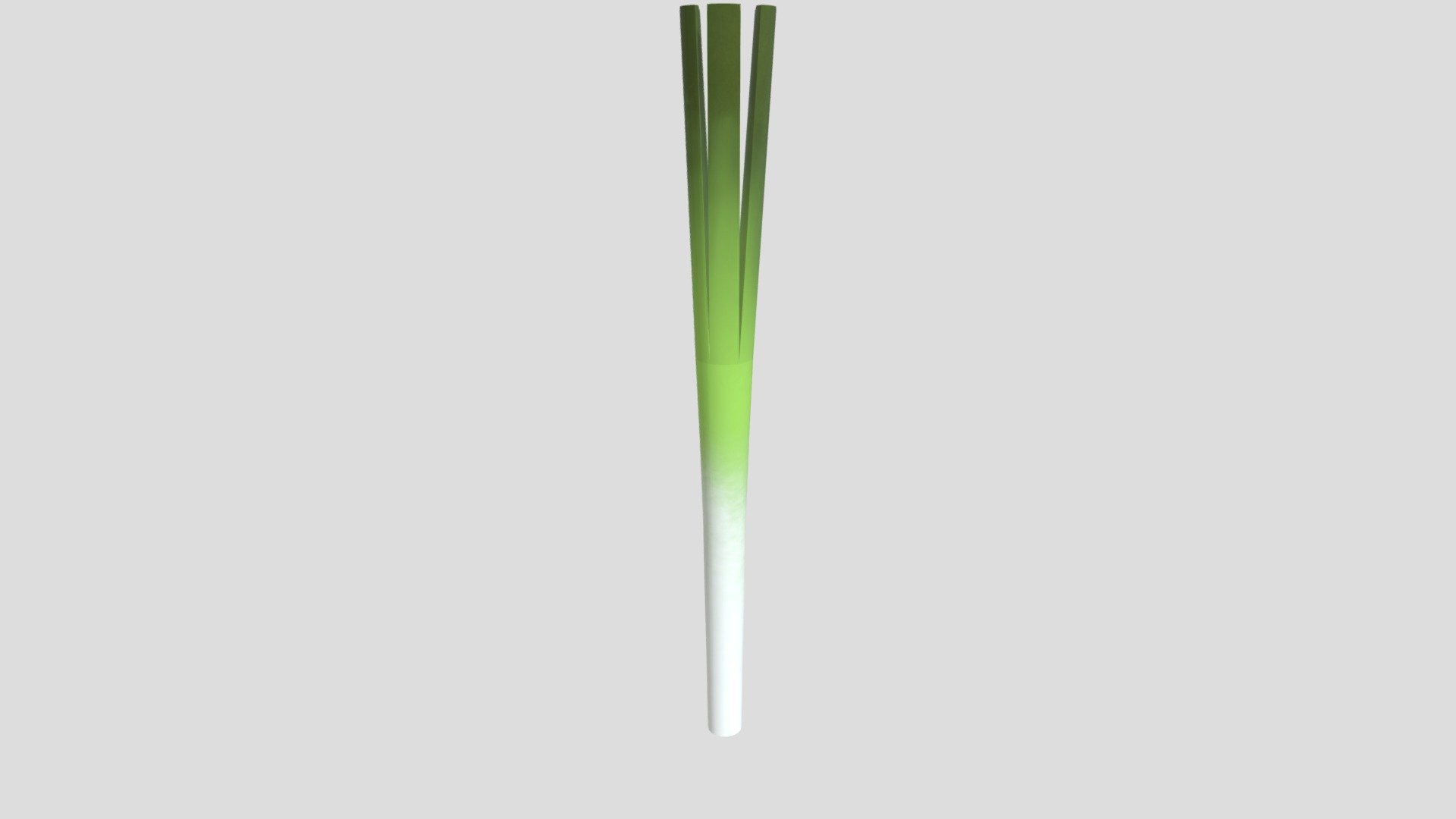 Leek - Download Free 3D model by sharkbitestudios [f04ab1e] - Sketchfab