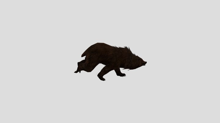 Bear 3D models - Sketchfab