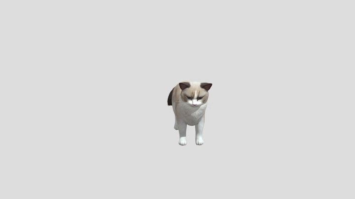 Ragdoll 3D models - Sketchfab