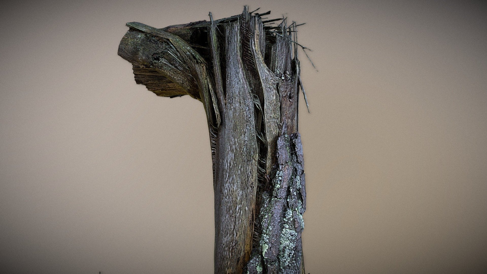 Broken tree stump - 3D model by Mantas Talmantas (@mantasT) [f052a68 ...