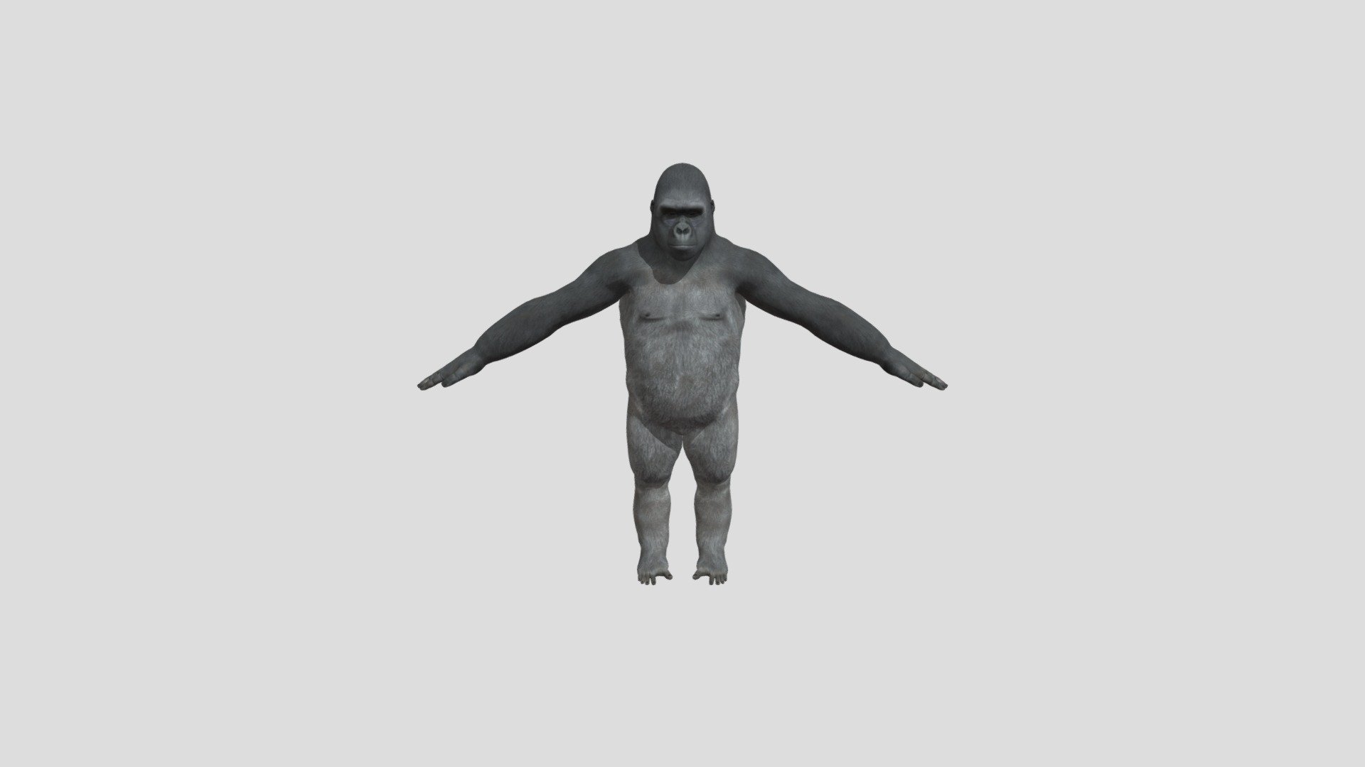 Gorilla - 3D model by rolligeroo [f052e03] - Sketchfab