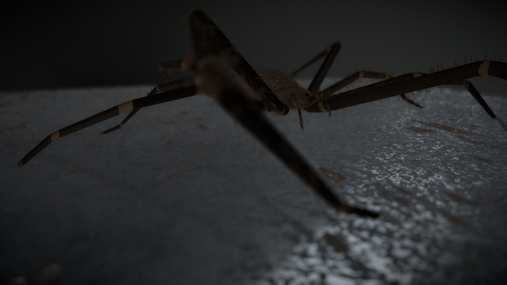 Spider - 3D model by s_ebo_l [f06561b] - Sketchfab