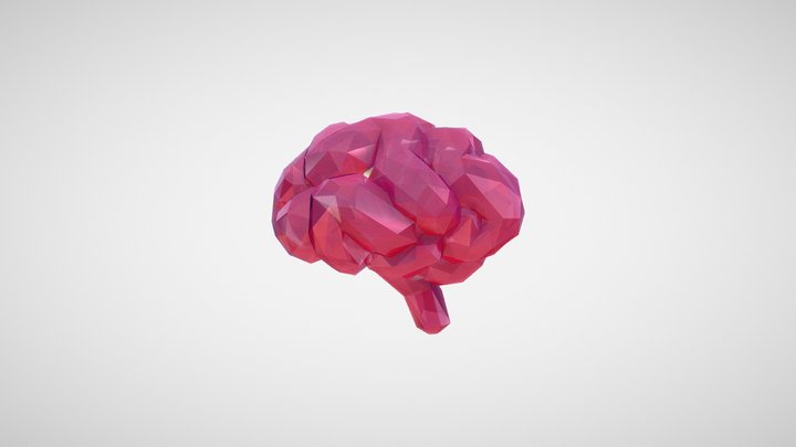 Brain 3D models - Sketchfab