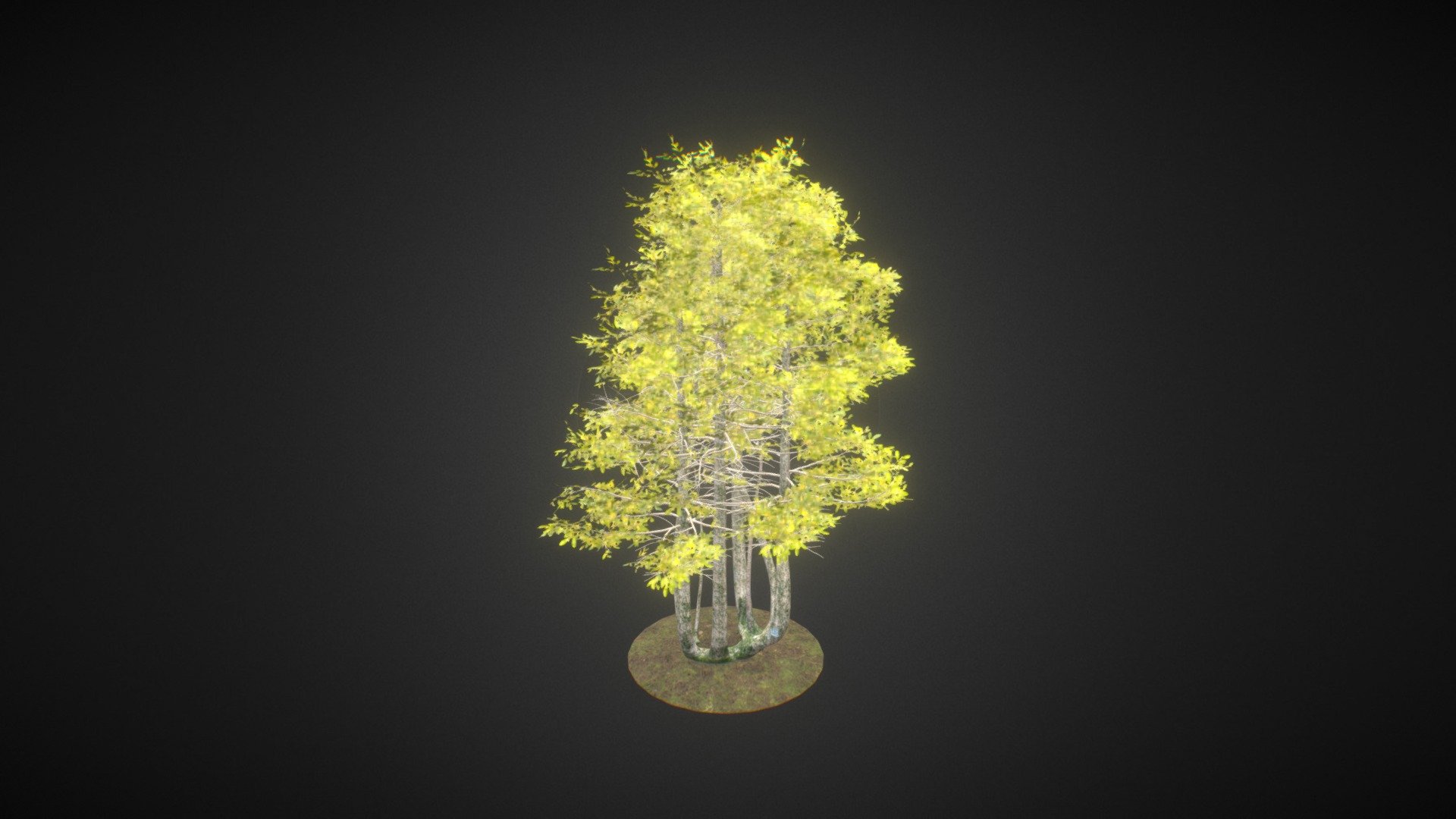 Elder ENT Queule10 Replica - 3D model by endangeredtokens [f079207 ...