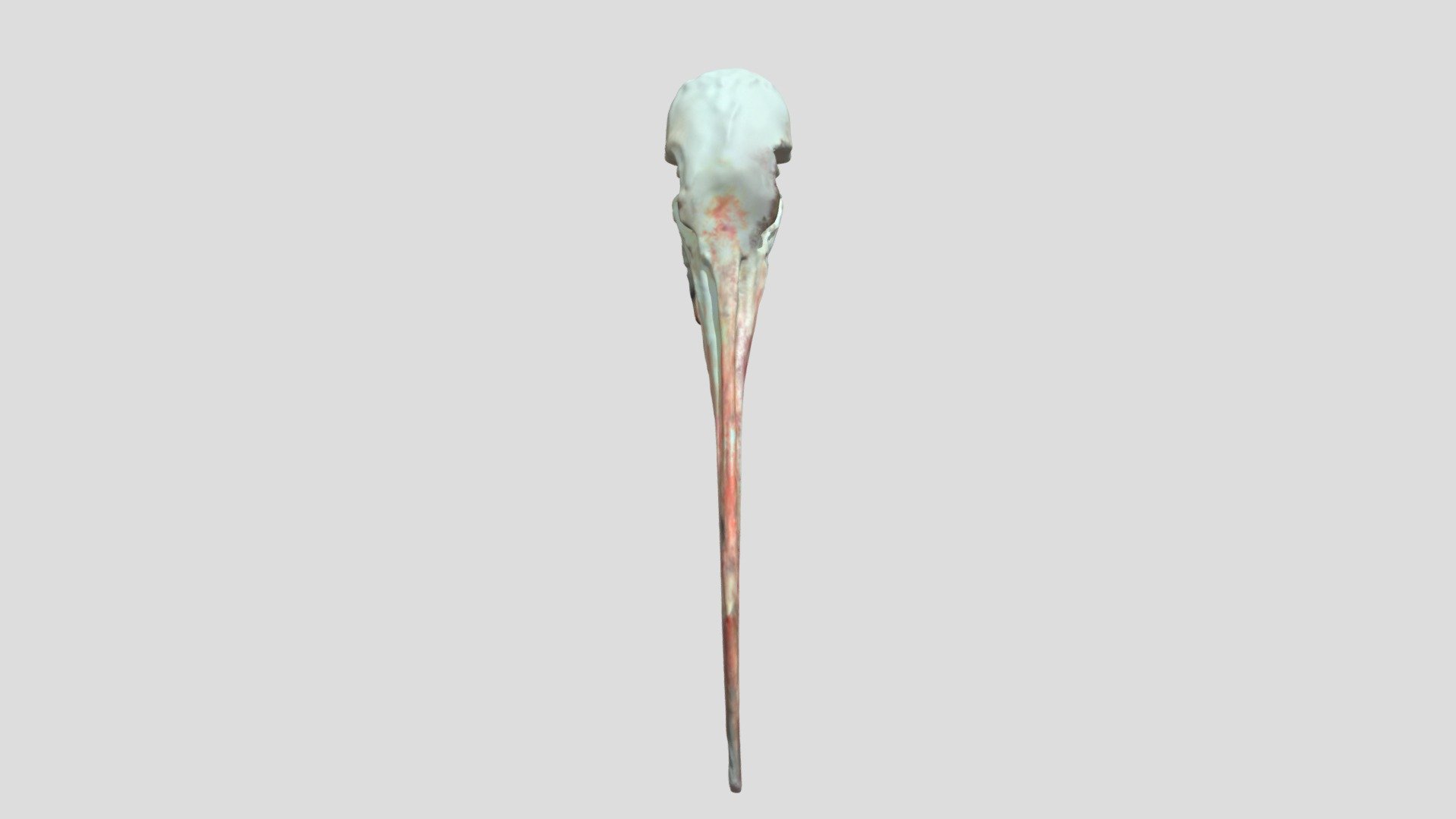 220921_birdhead_01bird_Head_simple2_1 - 3D model by Giraffentoast ...