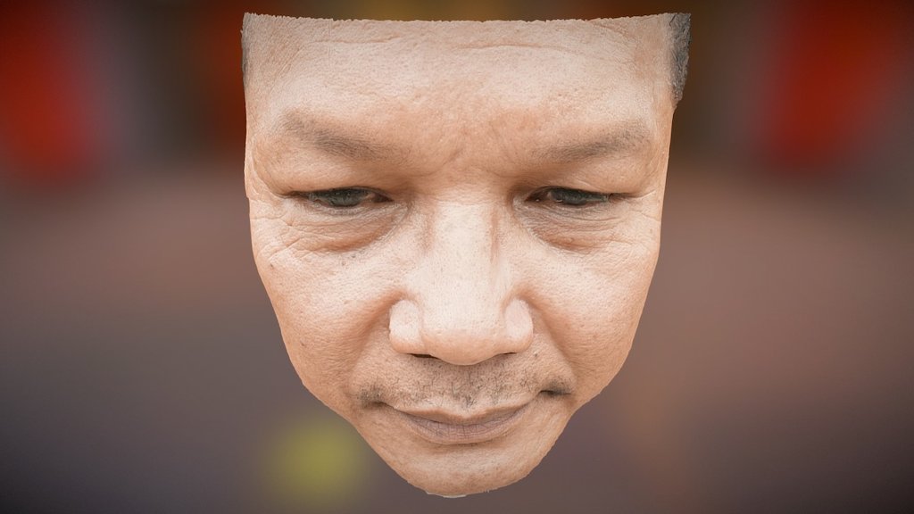3D Portrait Human Head - 3D model by QUADDROS [f0802f7] - Sketchfab