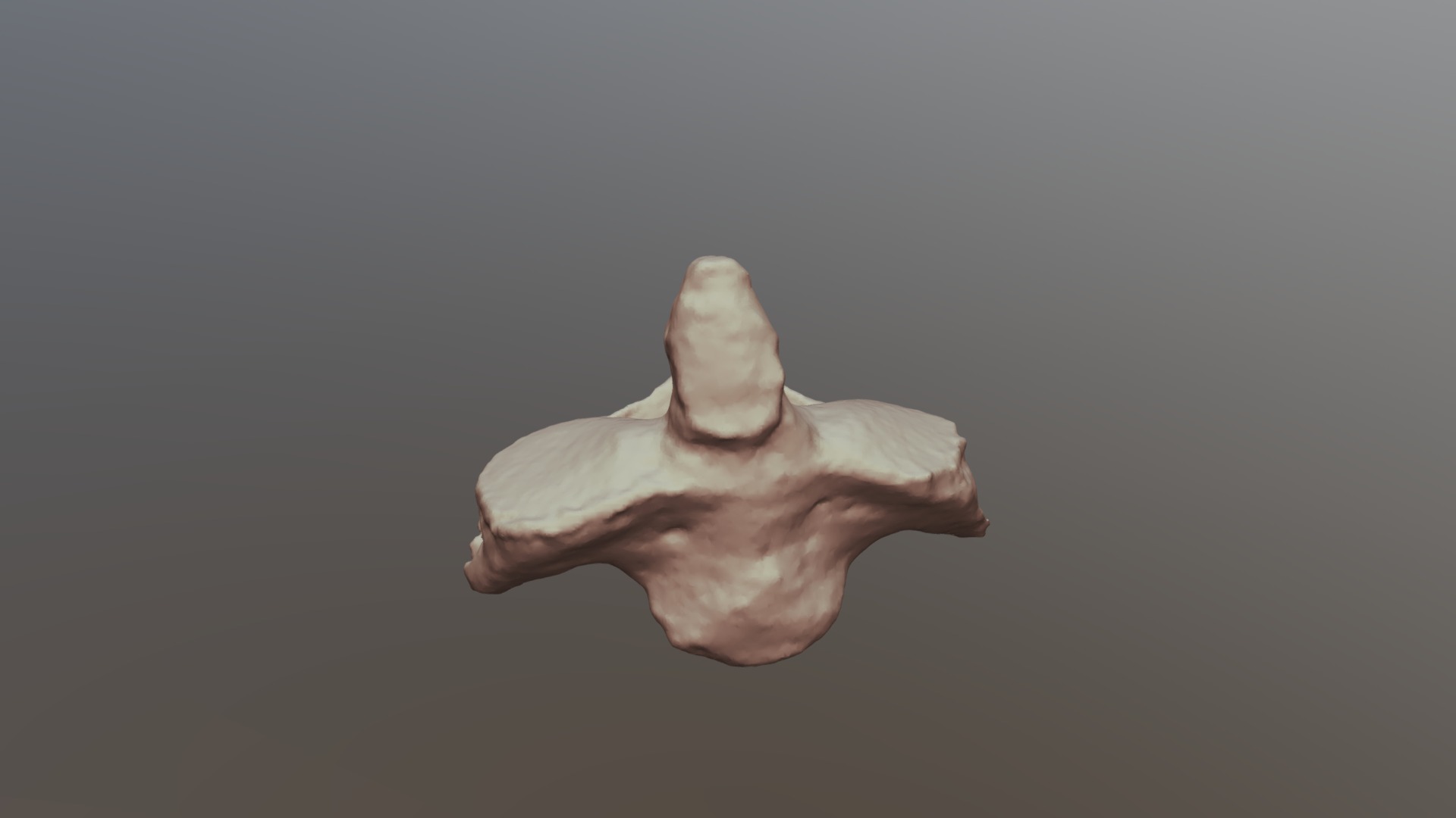 Human Axis - University of Oklahoma Anatomy - 3D model by bobbyreed ...
