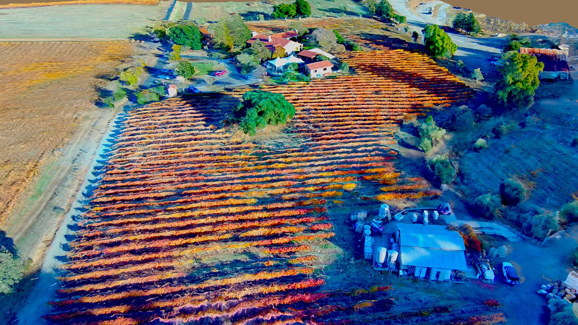 Bent Creek Vineyards, December - 3D model by John Toeppen (@toeppen ...