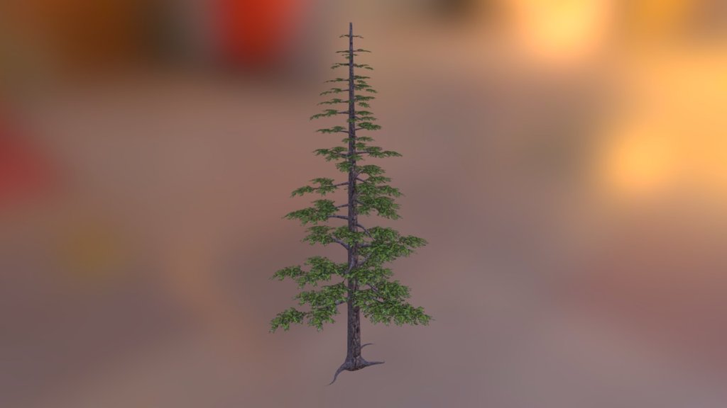 Tall Tree - 3D model by Cody Boyson (@codyboyson) [f092e73] - Sketchfab