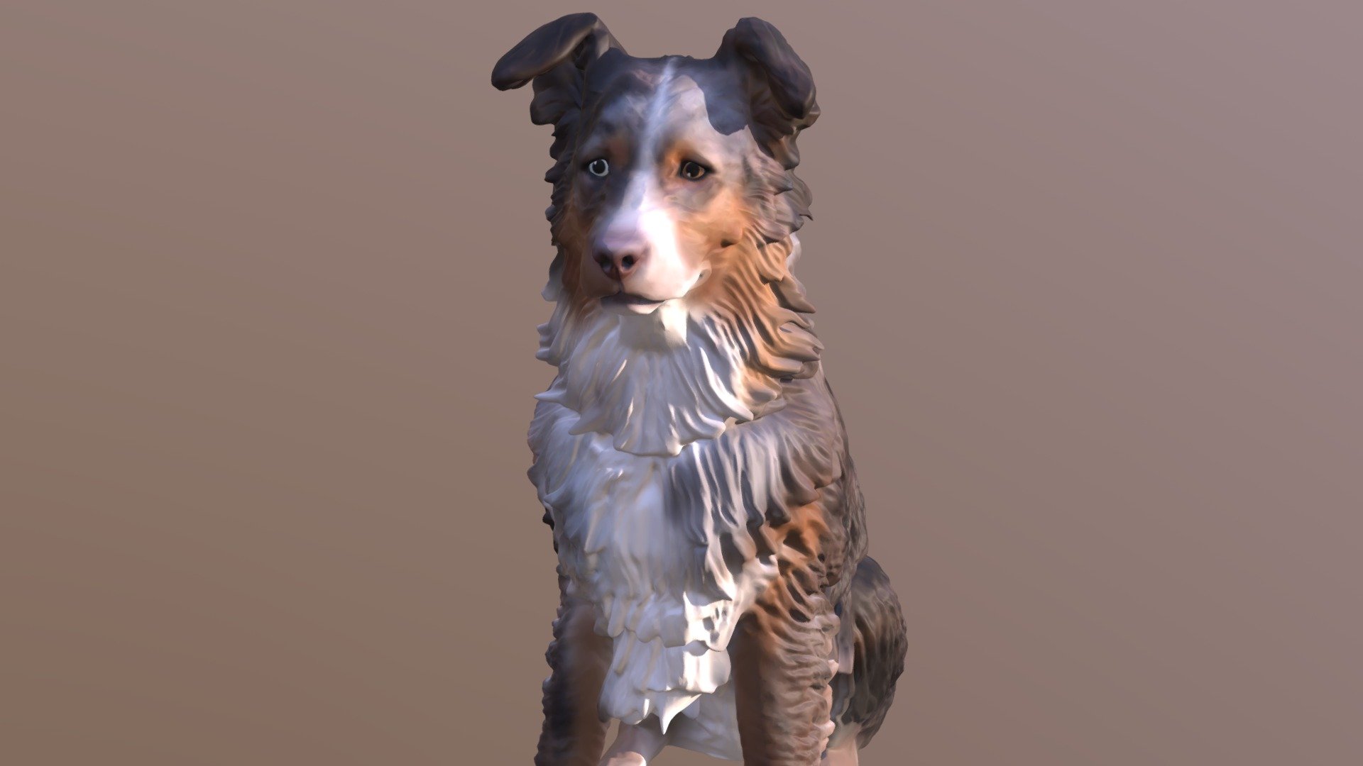 1904004- Oneedamour- Border Collie - 3D model by Arty Lobster - Pet ...