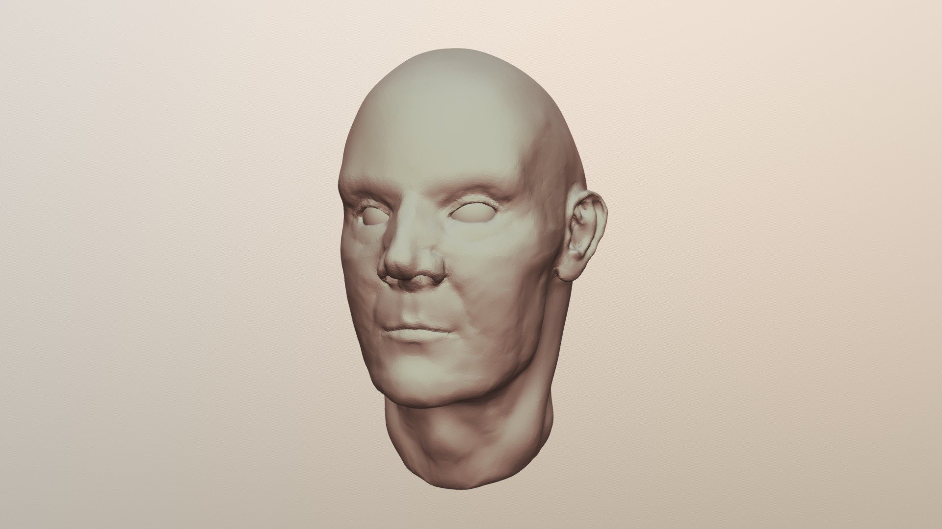 Head sculpt - 3D model by baukepost [f095811] - Sketchfab
