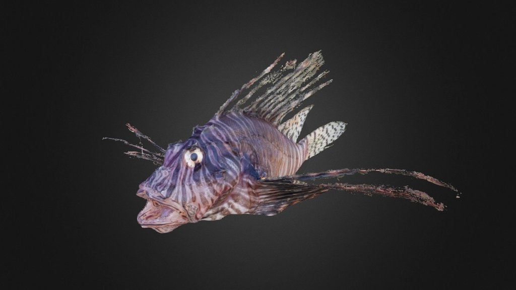 Lionfish - 3D model by atomz [f0a8a69] - Sketchfab