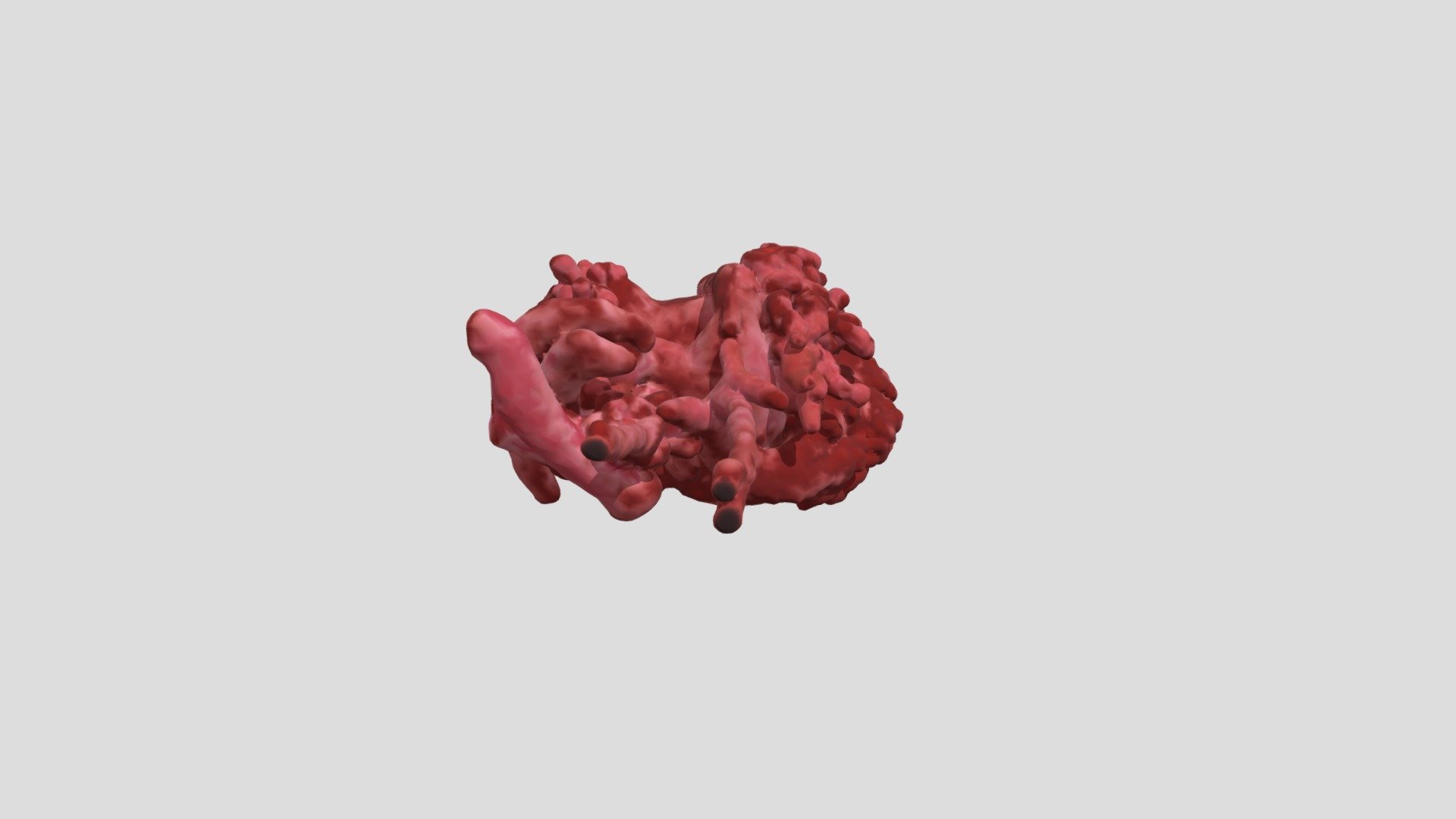 HEART CT - Download Free 3D model by Rays.VR [f0ac868] - Sketchfab
