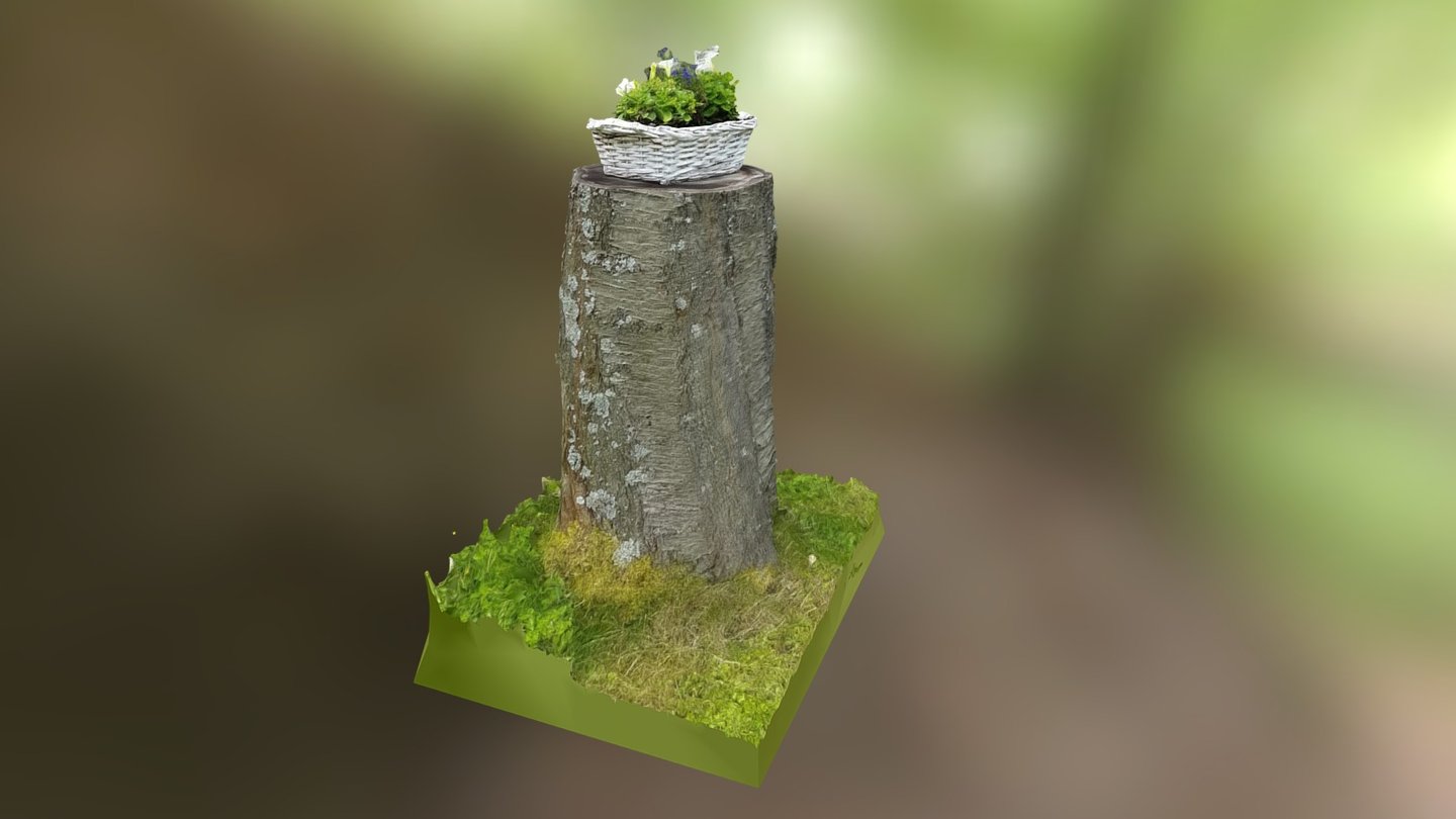 Video 3D-Scan - 3D model by Makerlounge 3D-Studio (@makerlounge ...