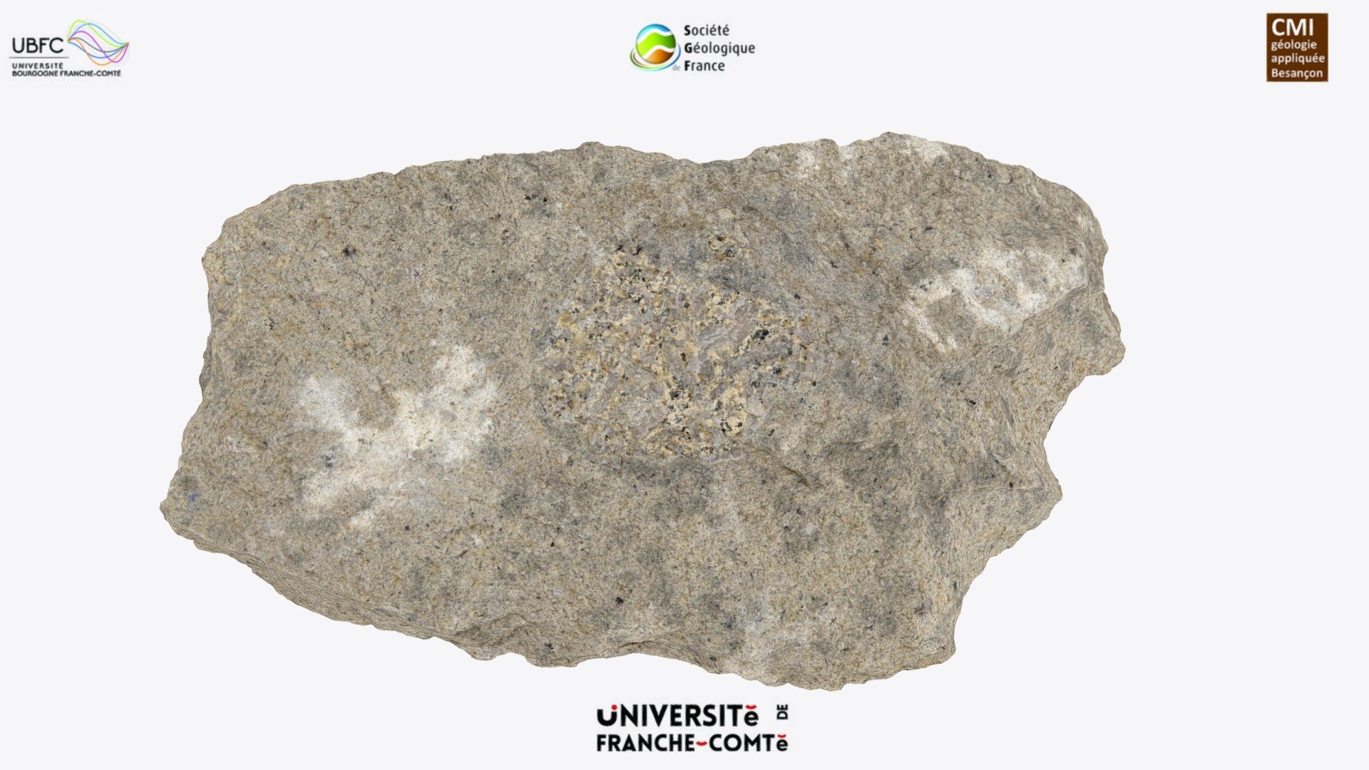 Roche - Phonolite with foyaite enclave - Download Free 3D model by ...