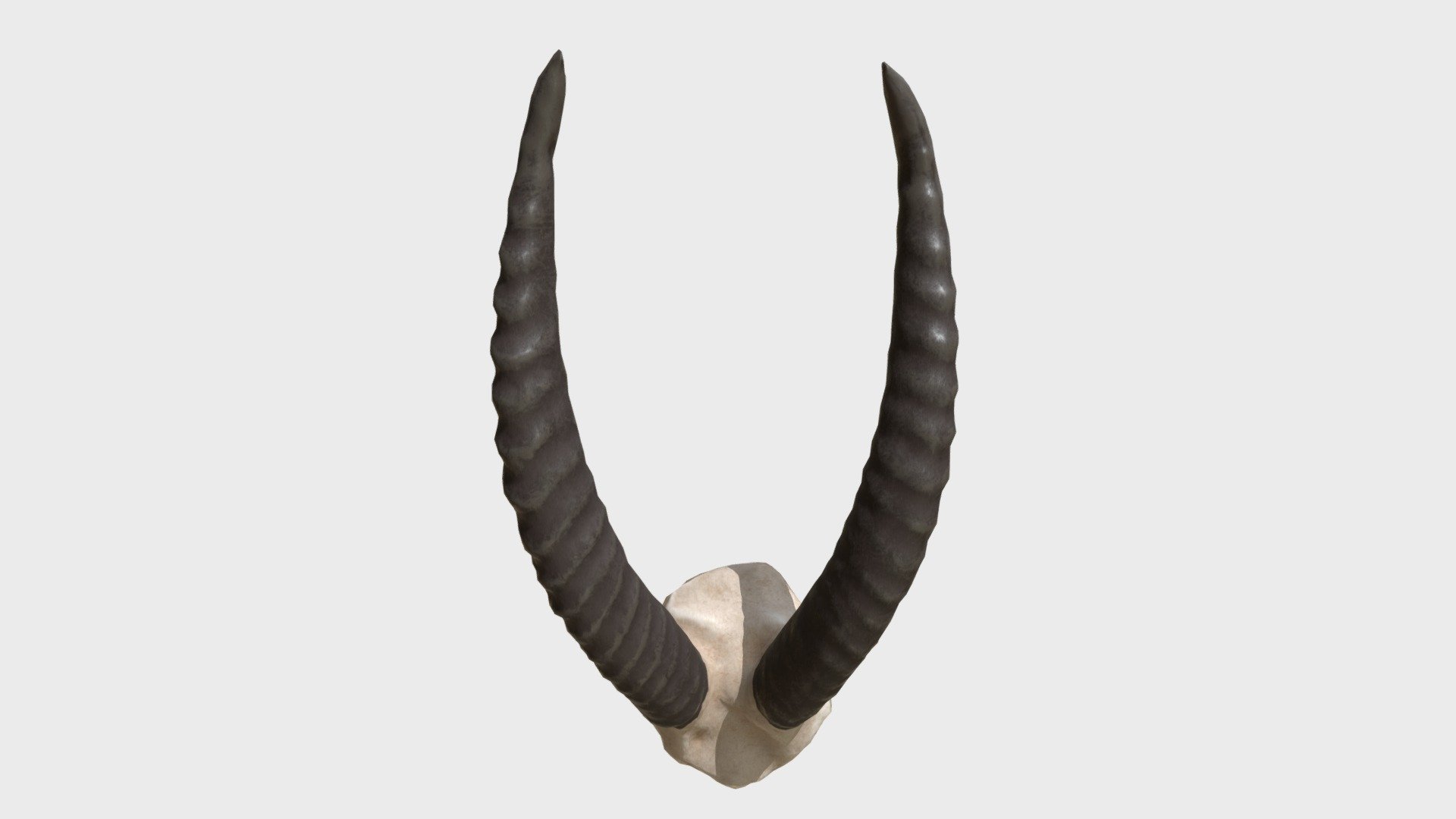 Stylized animal horns - 3D model by FrancescoMilanese [f0b9203] - Sketchfab