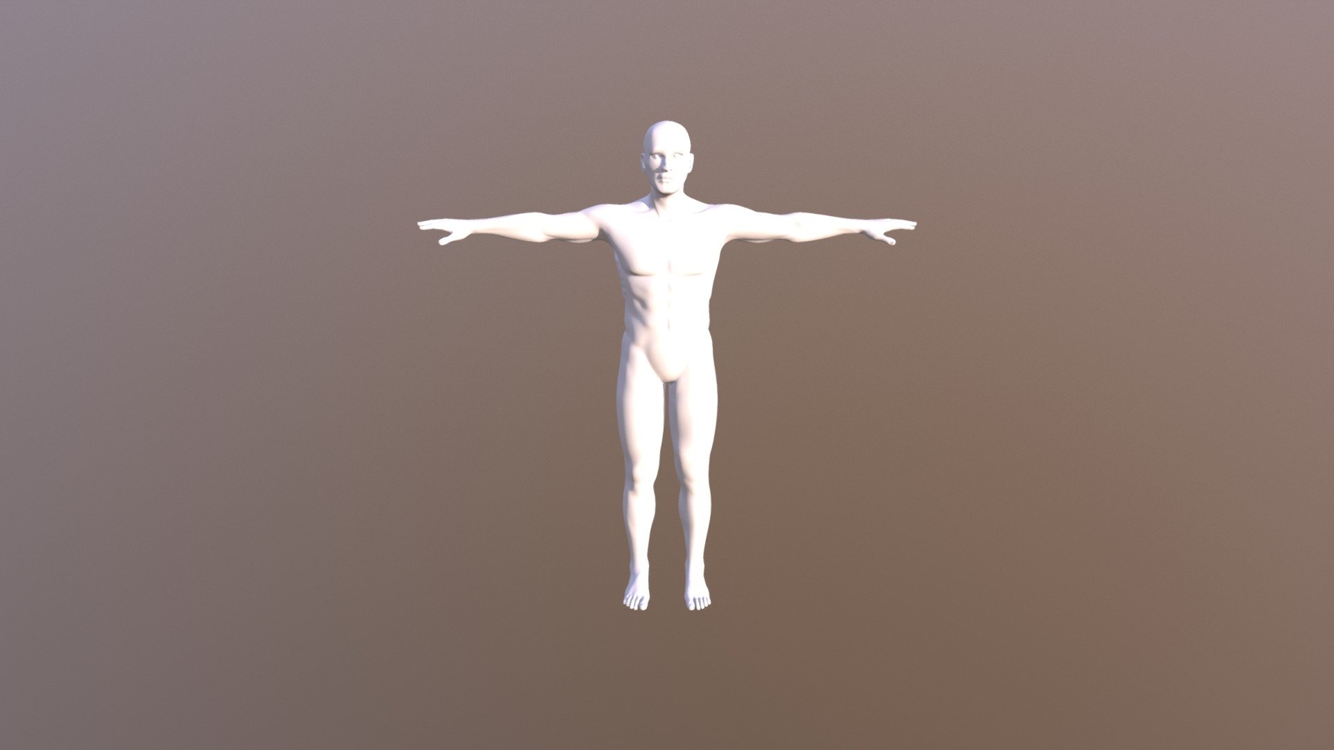 Basic Human Hi Poly - 3D model by AlManiak [f0c3c26] - Sketchfab