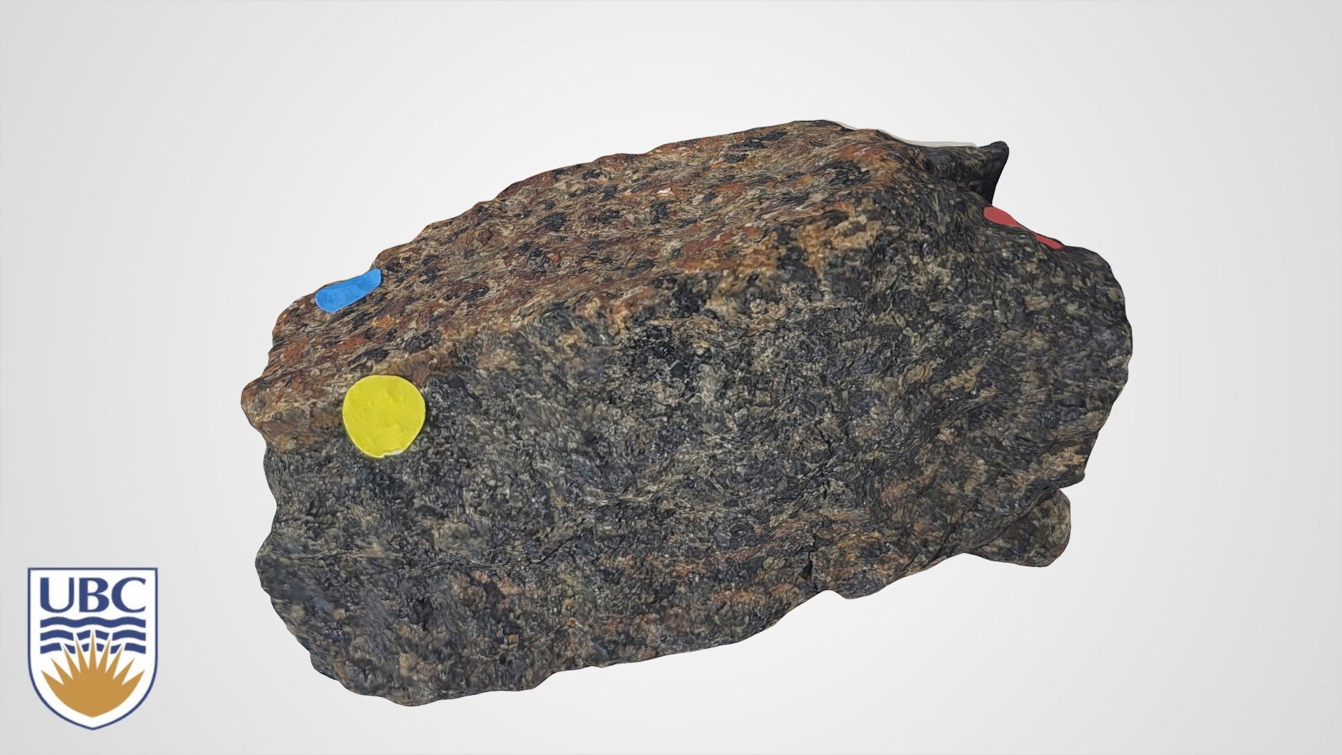 Skaergaard intrusion UZc (SEB87-217) - 3D model by Nichole Moerhuis ...