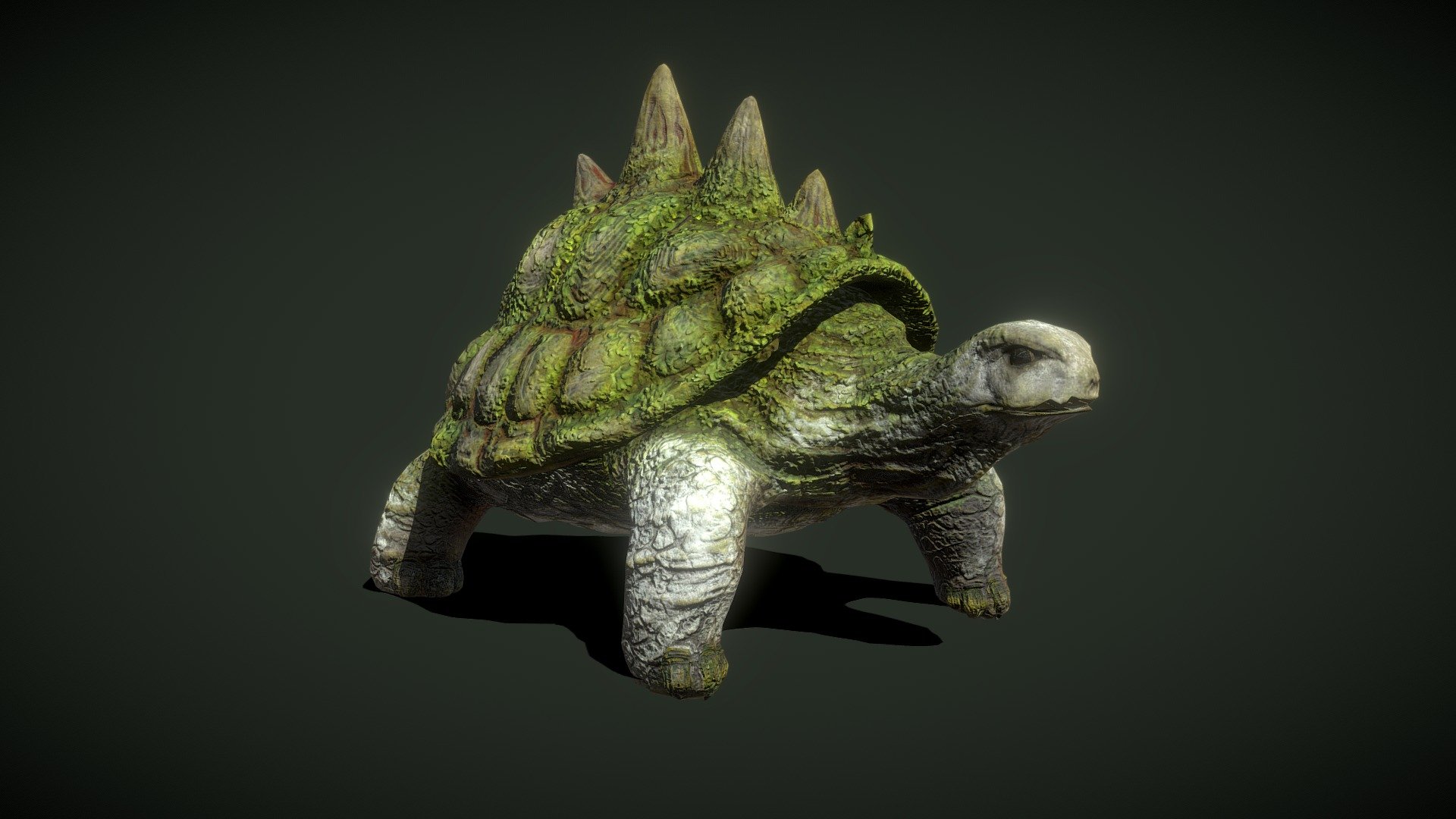 Grass Turtle - Buy Royalty Free 3D model by Karolina Renkiewicz ...