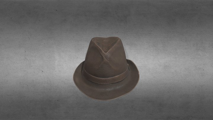 Fedora 3D models - Sketchfab