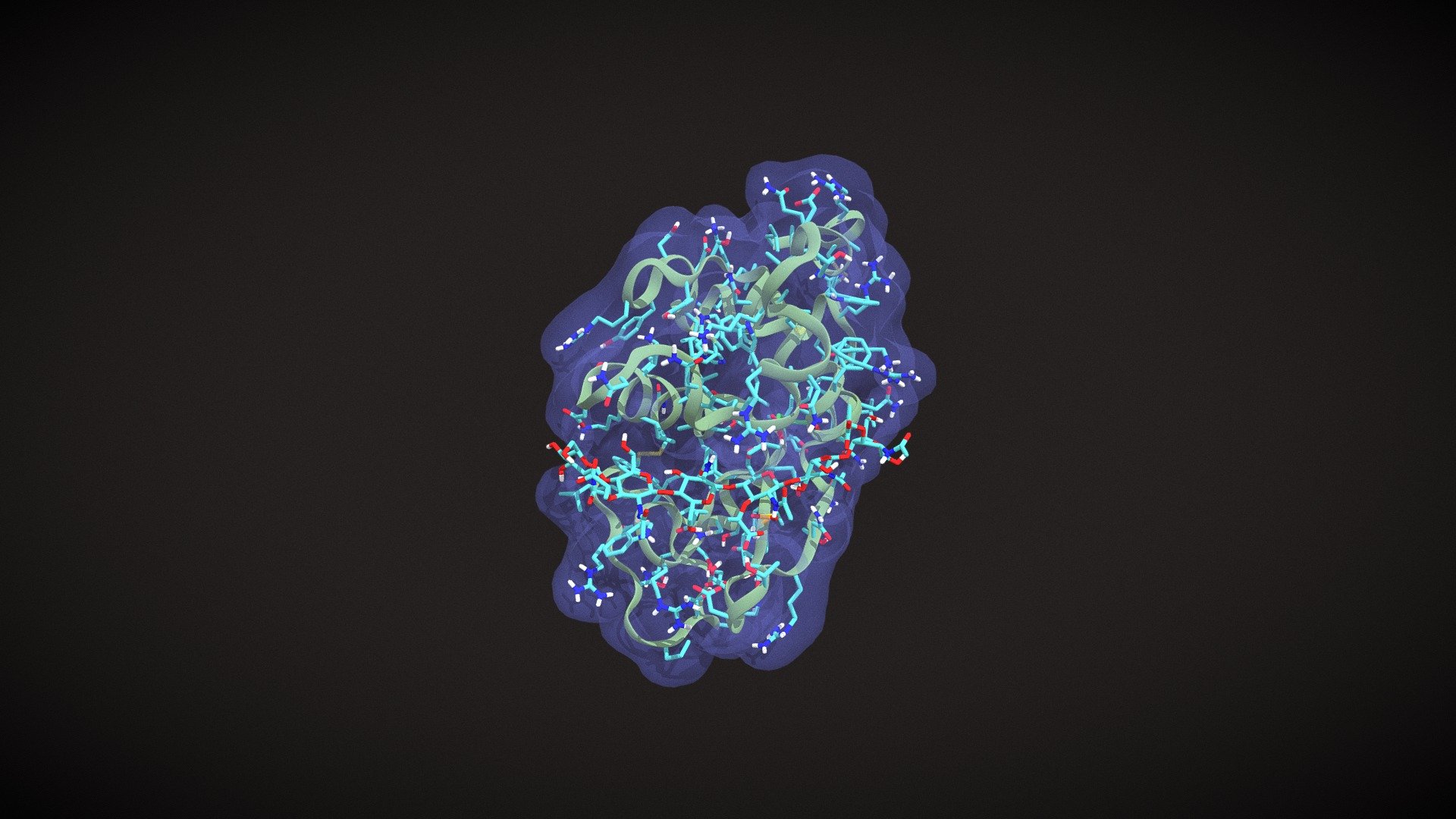 lysozyme - Download Free 3D model by gvsuchem (@gvsu-chem) [f0e5a8d ...