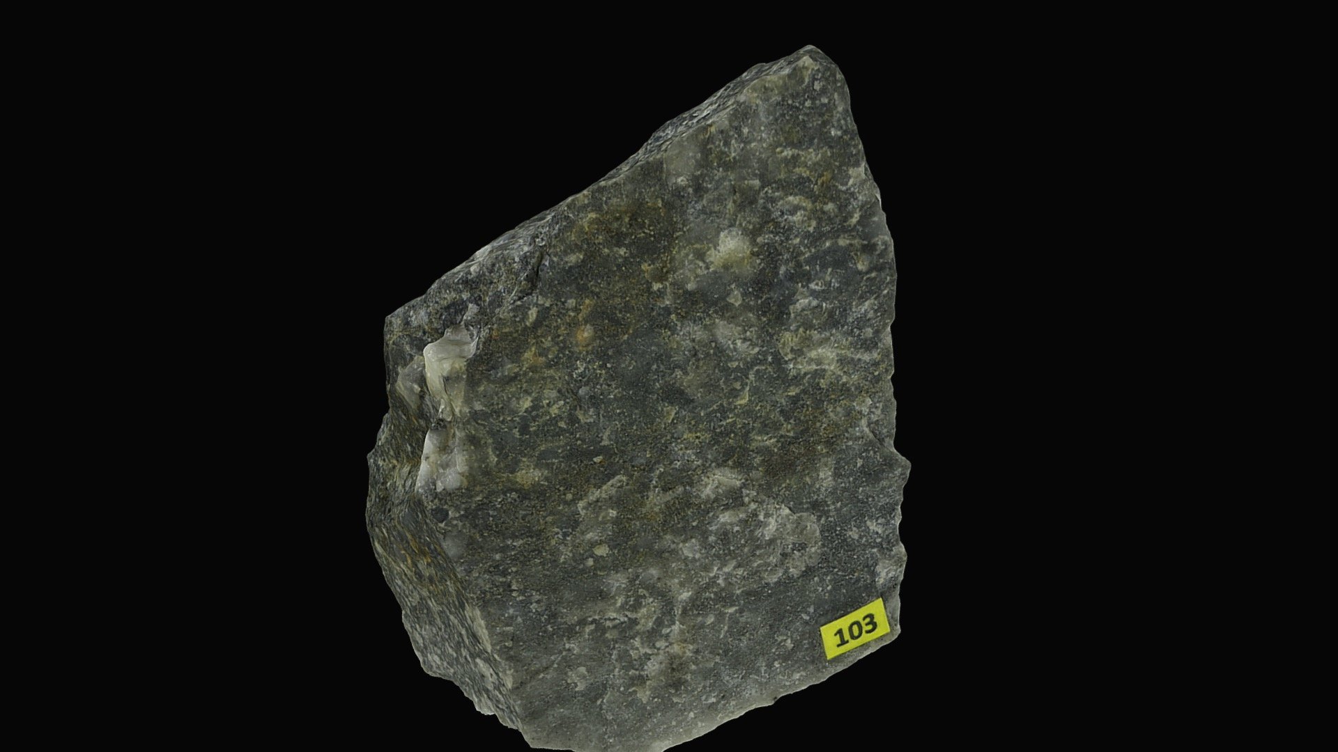 Carbon leader gold ore, South Africa - Download Free 3D model by Sara ...