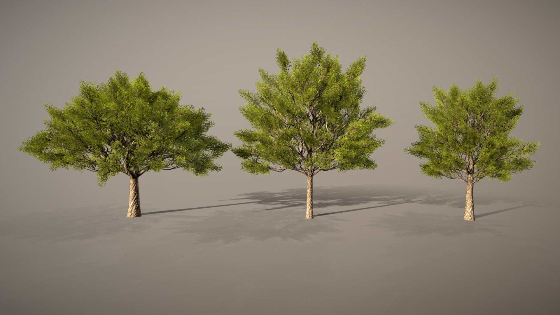 Tree Animate - Download Free 3D model by Node_λrt (@Node_Art) [f0f9eb5] - Sketchfab