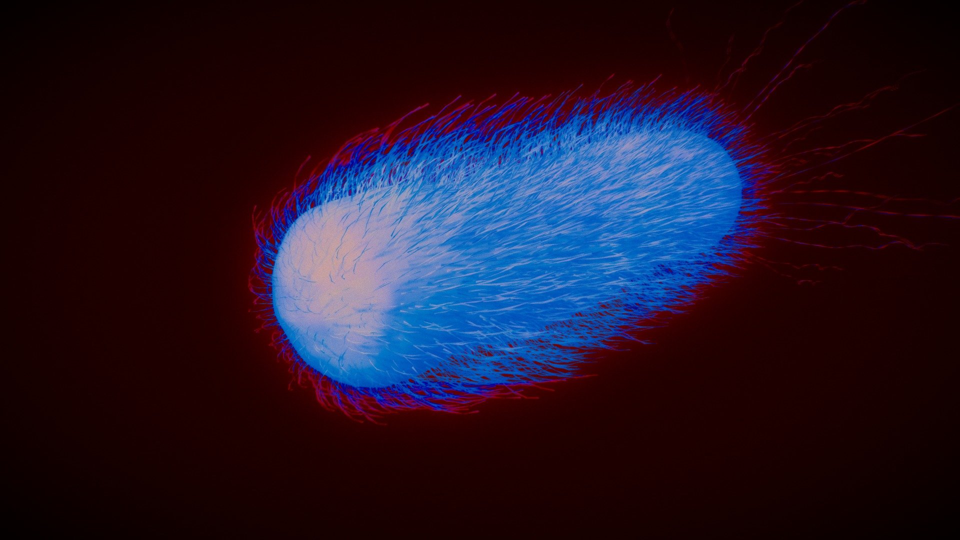 Bacteria - Buy Royalty Free 3D model by PARSONSARTS (@tomparsons ...