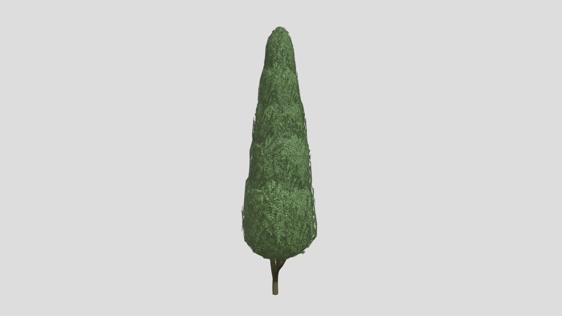 Boxwood Tree Version 9 - Buy Royalty Free 3D model by VIS-All-3D (@VIS ...