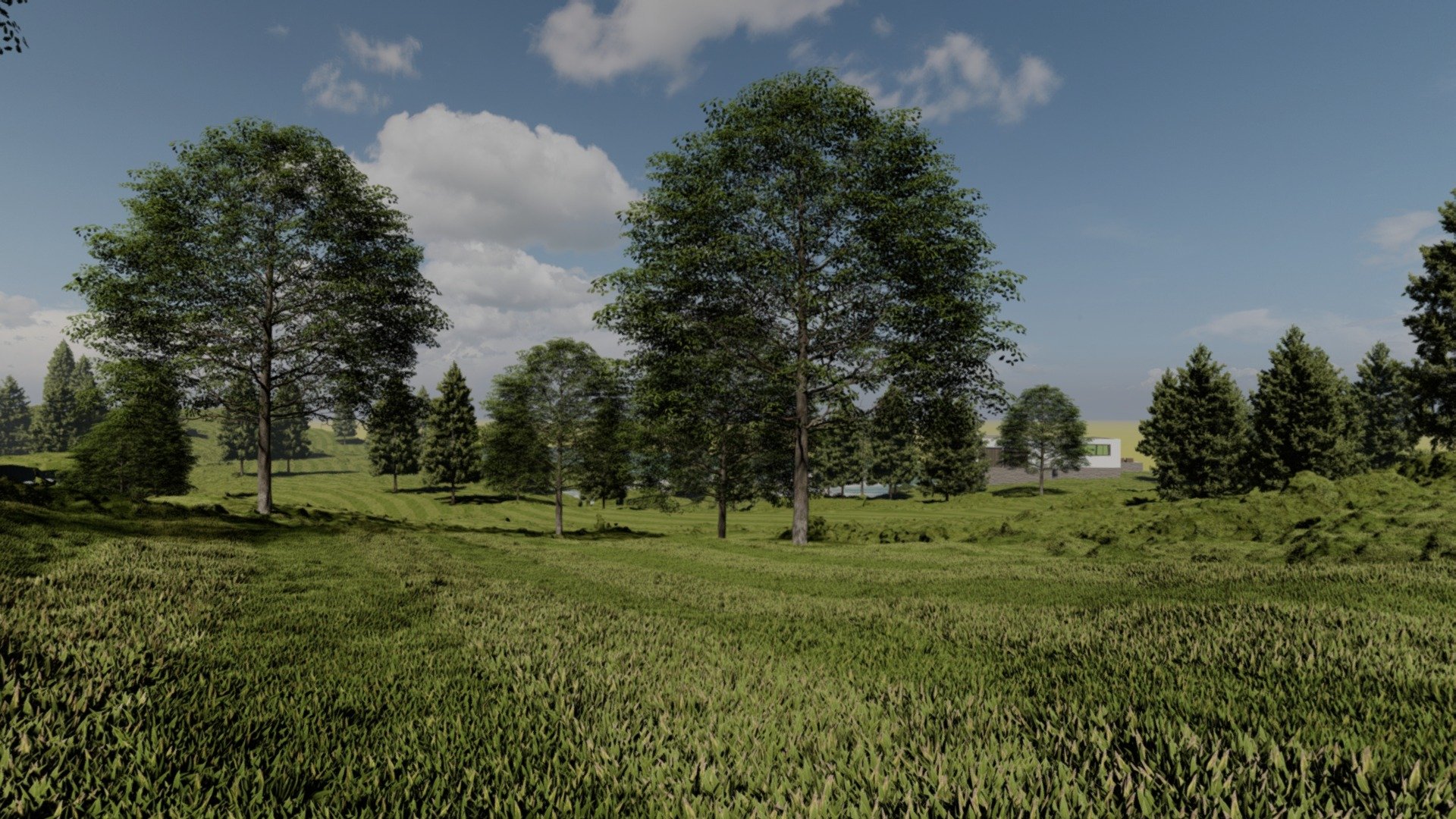 HDRI & SKY BOX 8K _ SUNNY NOON ON GRASSY HILL - Buy Royalty Free 3D ...