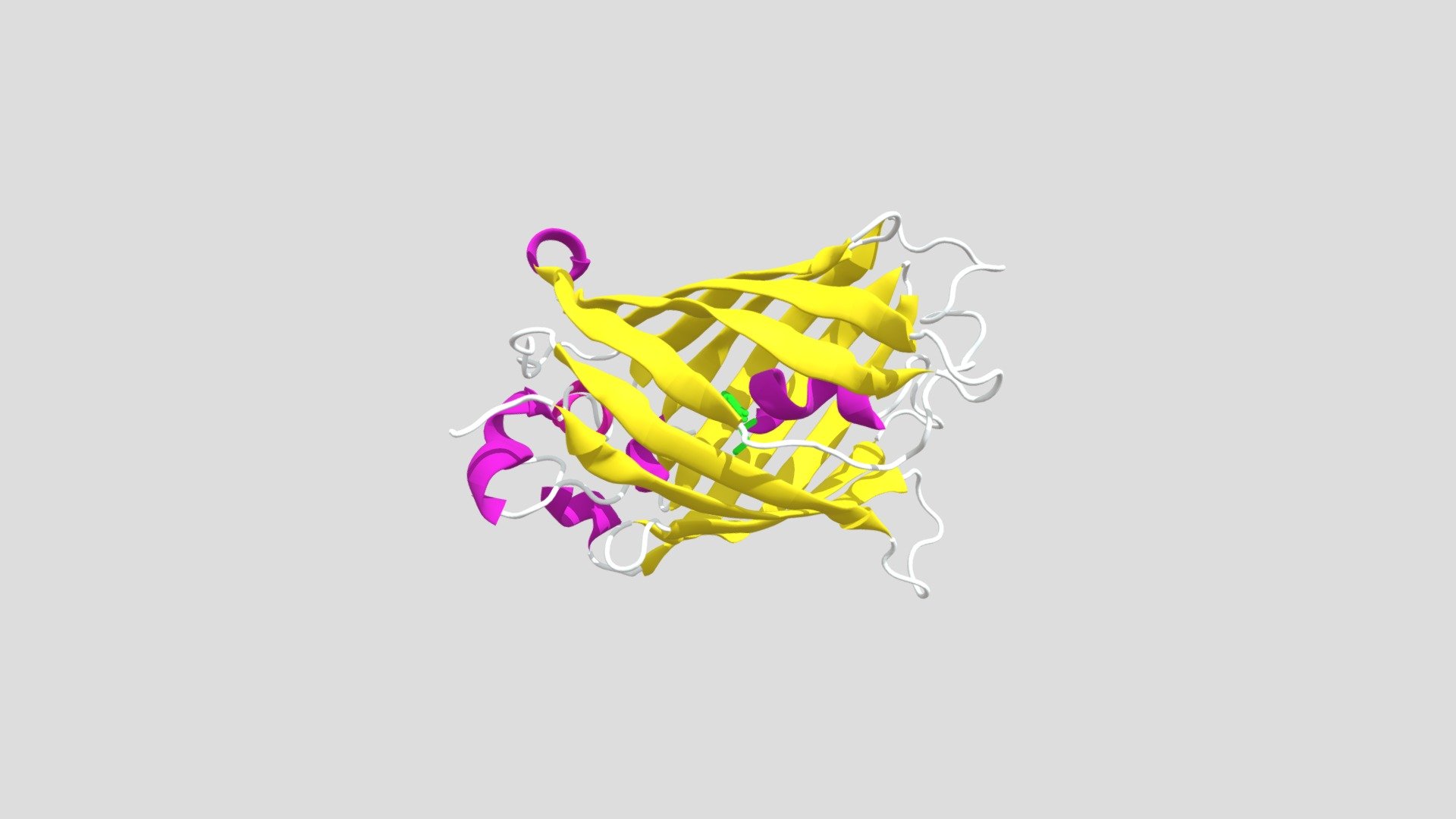 GFP - Download Free 3D model by nyithive [f10c58e] - Sketchfab