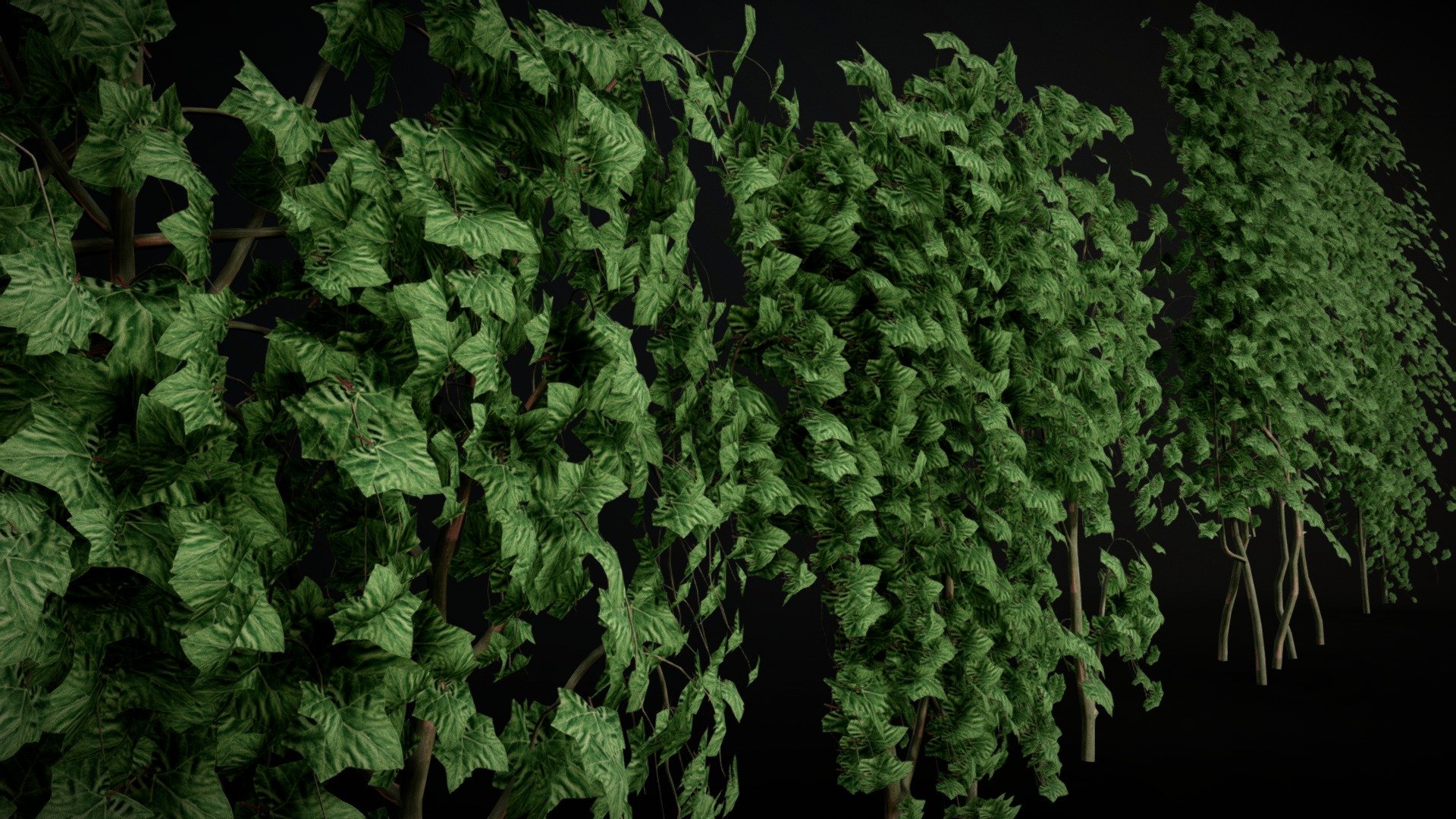 Ivy High Poly - 3D model by Nicholas-3D (@Nicholas01) [f10e66e] - Sketchfab