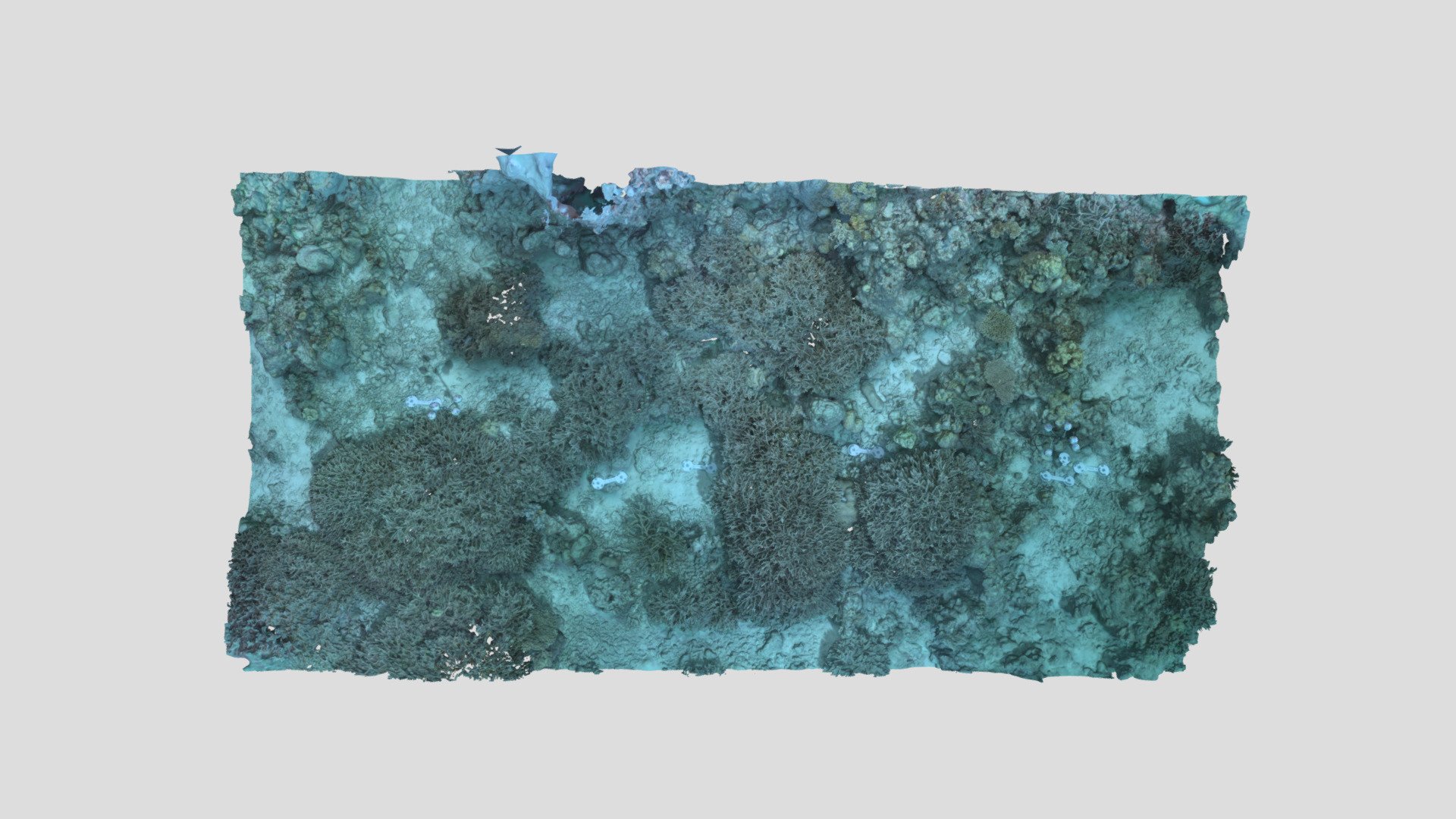Davies_BA1D_P4_202101 - 3D model by EcoRRAP (@AIMSEcoRRAP) [f10eceb ...