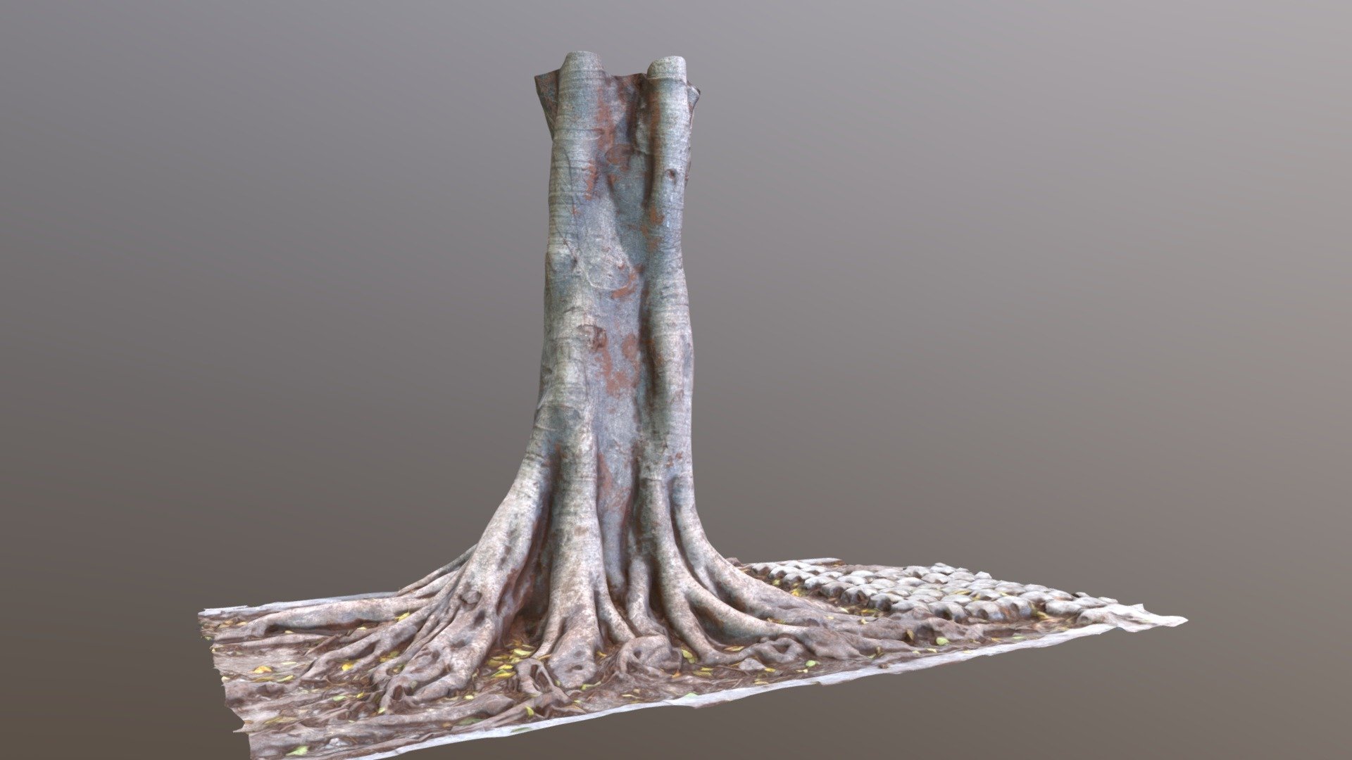 Trunk Retopo - Download Free 3D model by Nodeaxis Interactive (@ar.jethin) [f1127a5] - Sketchfab