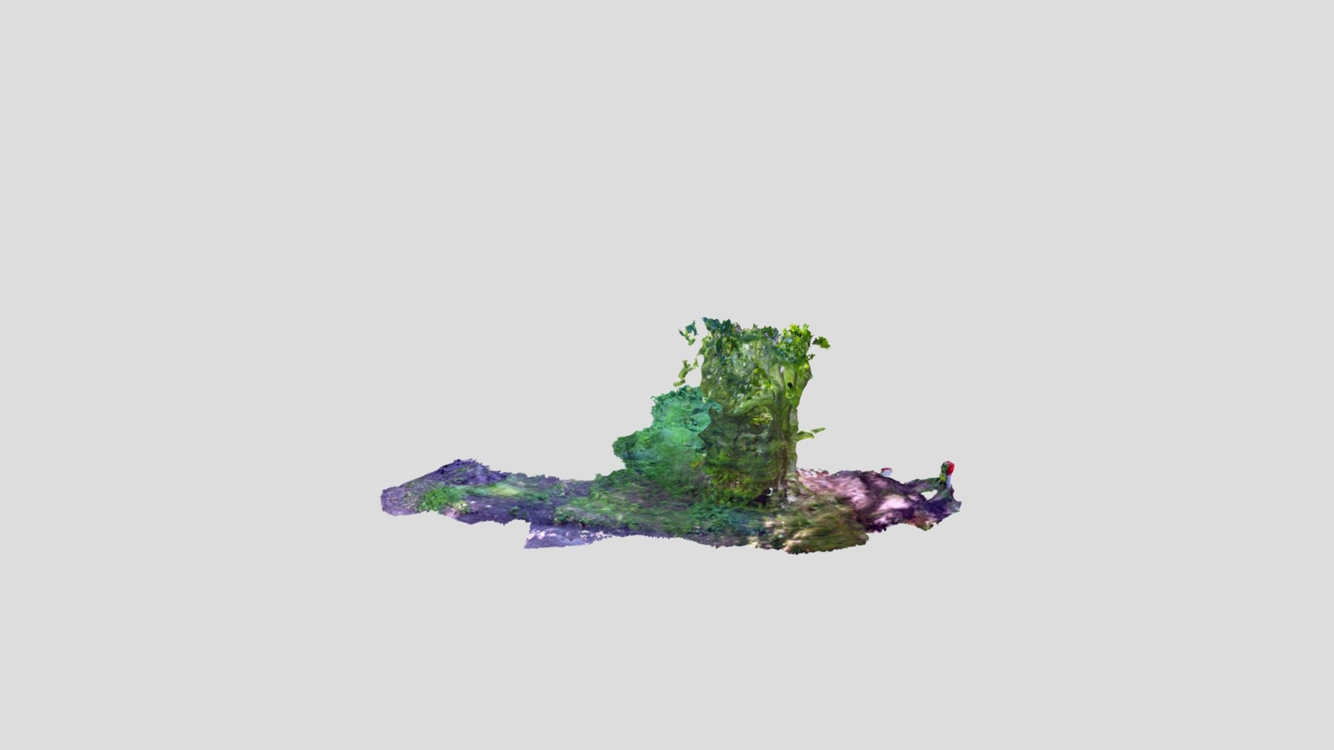 tree - Download Free 3D model by vincentcburns [f118e49] - Sketchfab