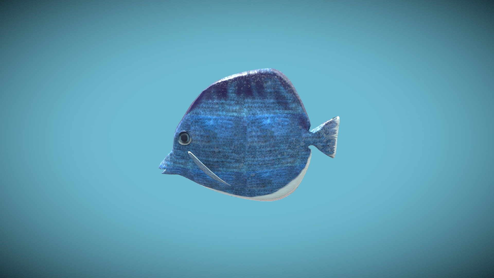 Fish - 3D model by faithnholbrook [f11d92e] - Sketchfab