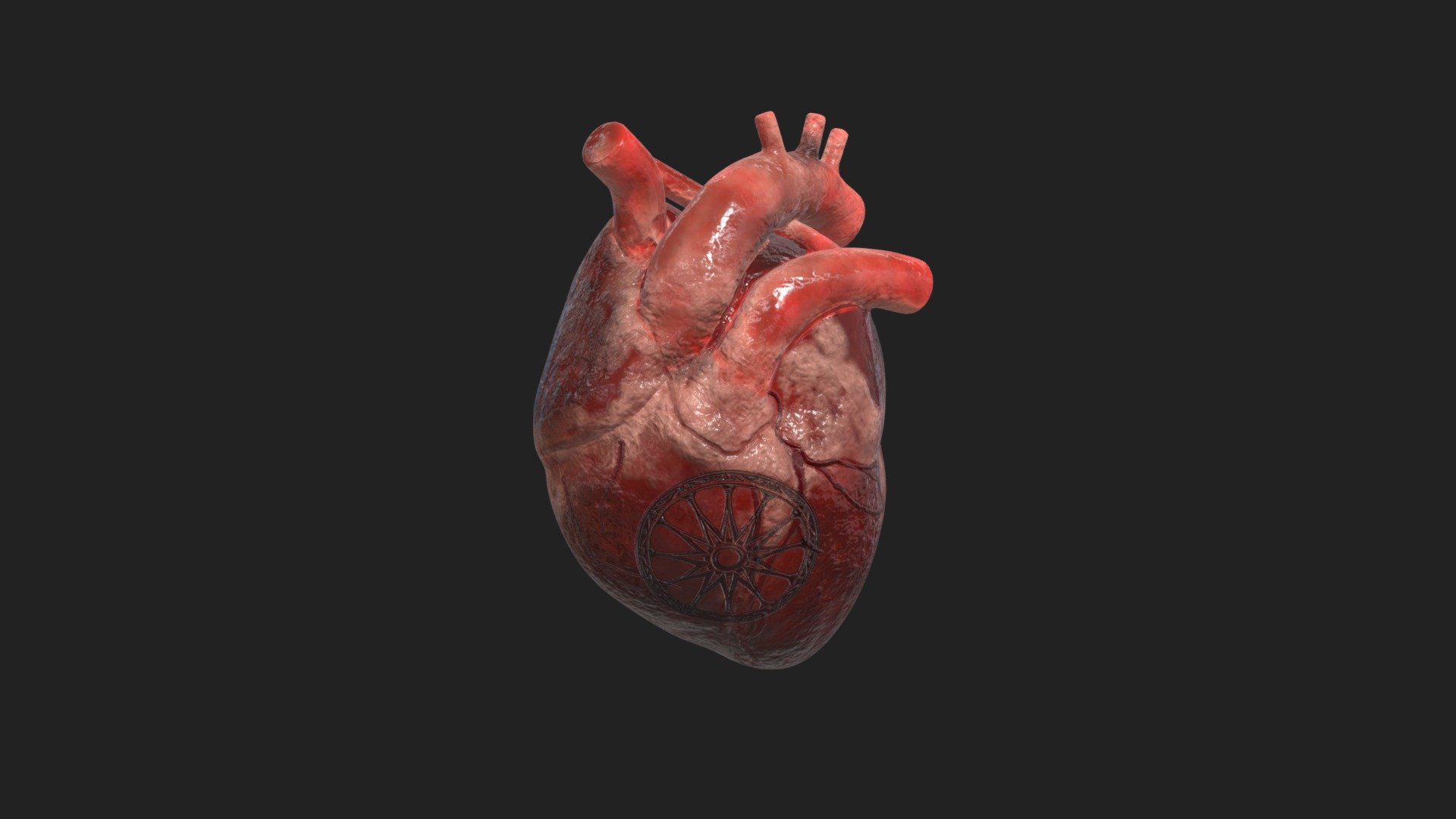 Heart - 3D model by welovekah [f1205ba] - Sketchfab